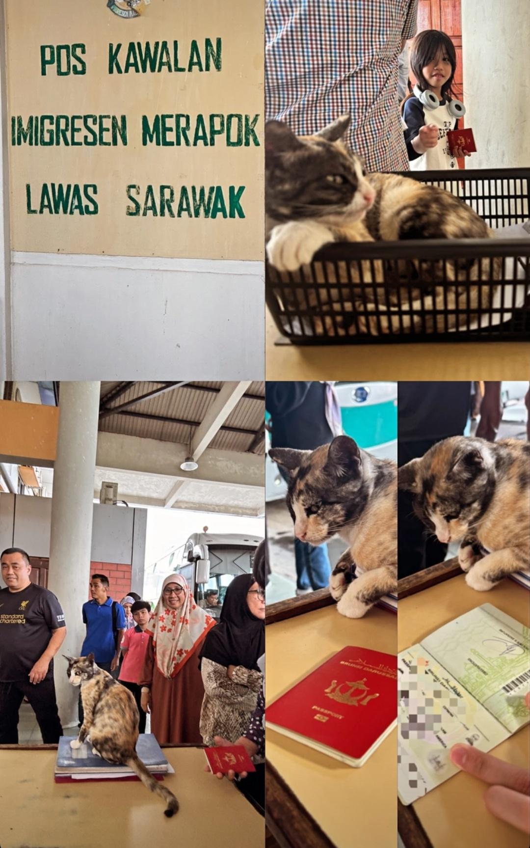 Imeowgration claw enforcement during her shift | Scrolller