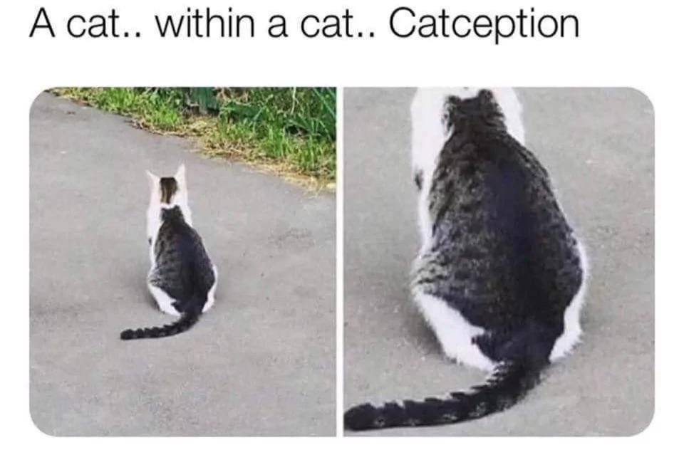 INCEPTION !!! | Scrolller