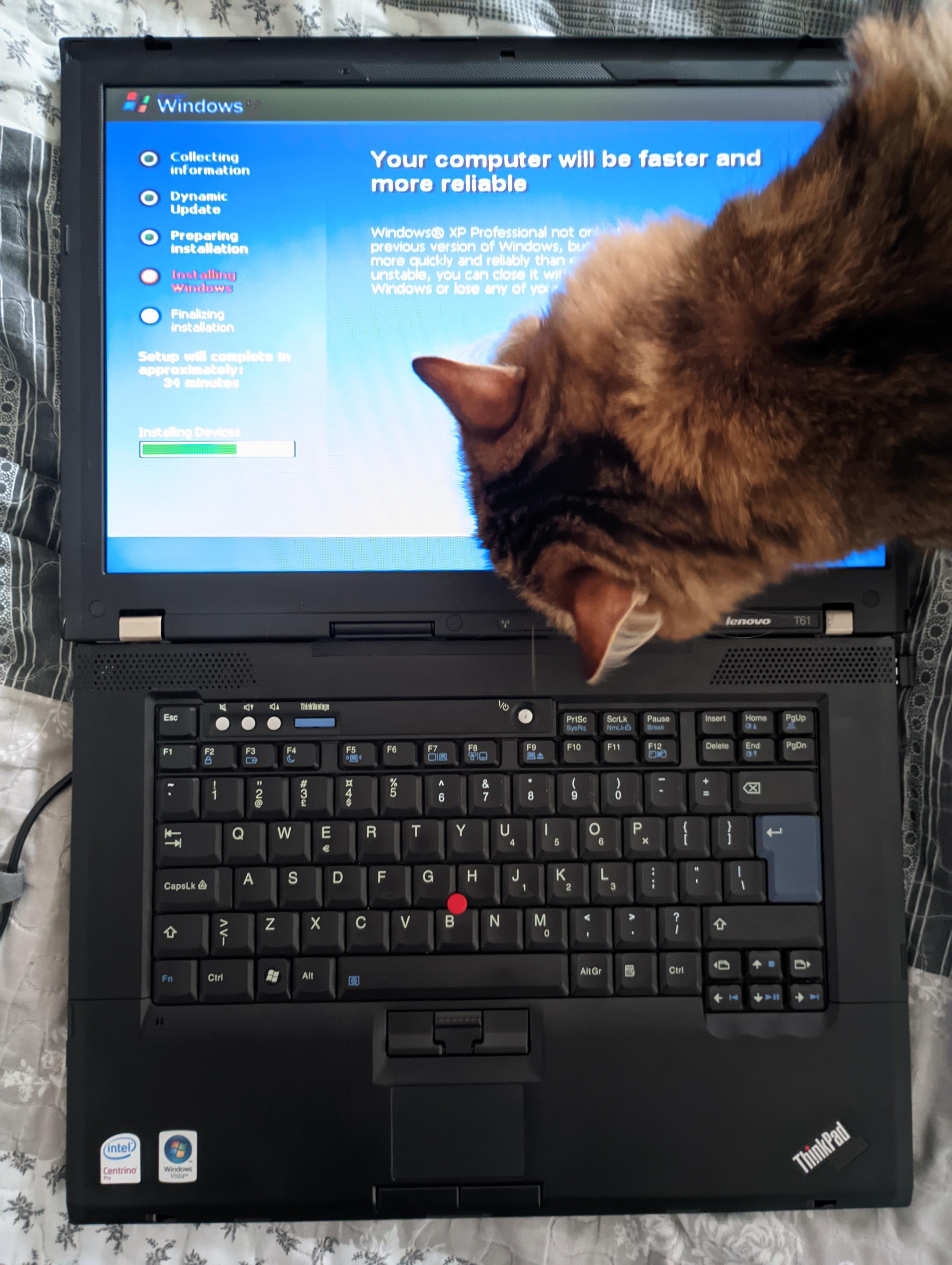 Installing XP | Scrolller