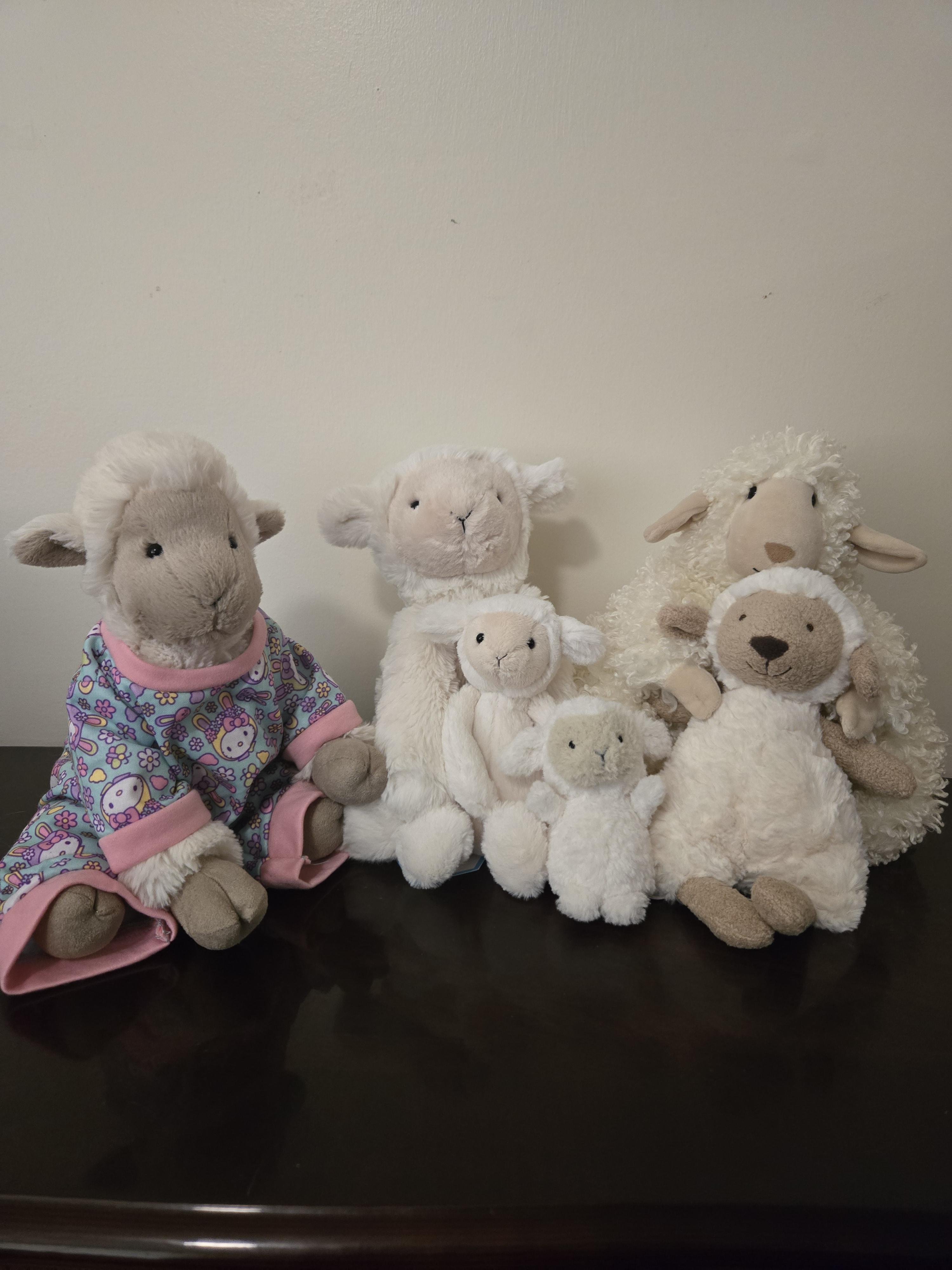 Libby Lamb 🐑 | Scrolller