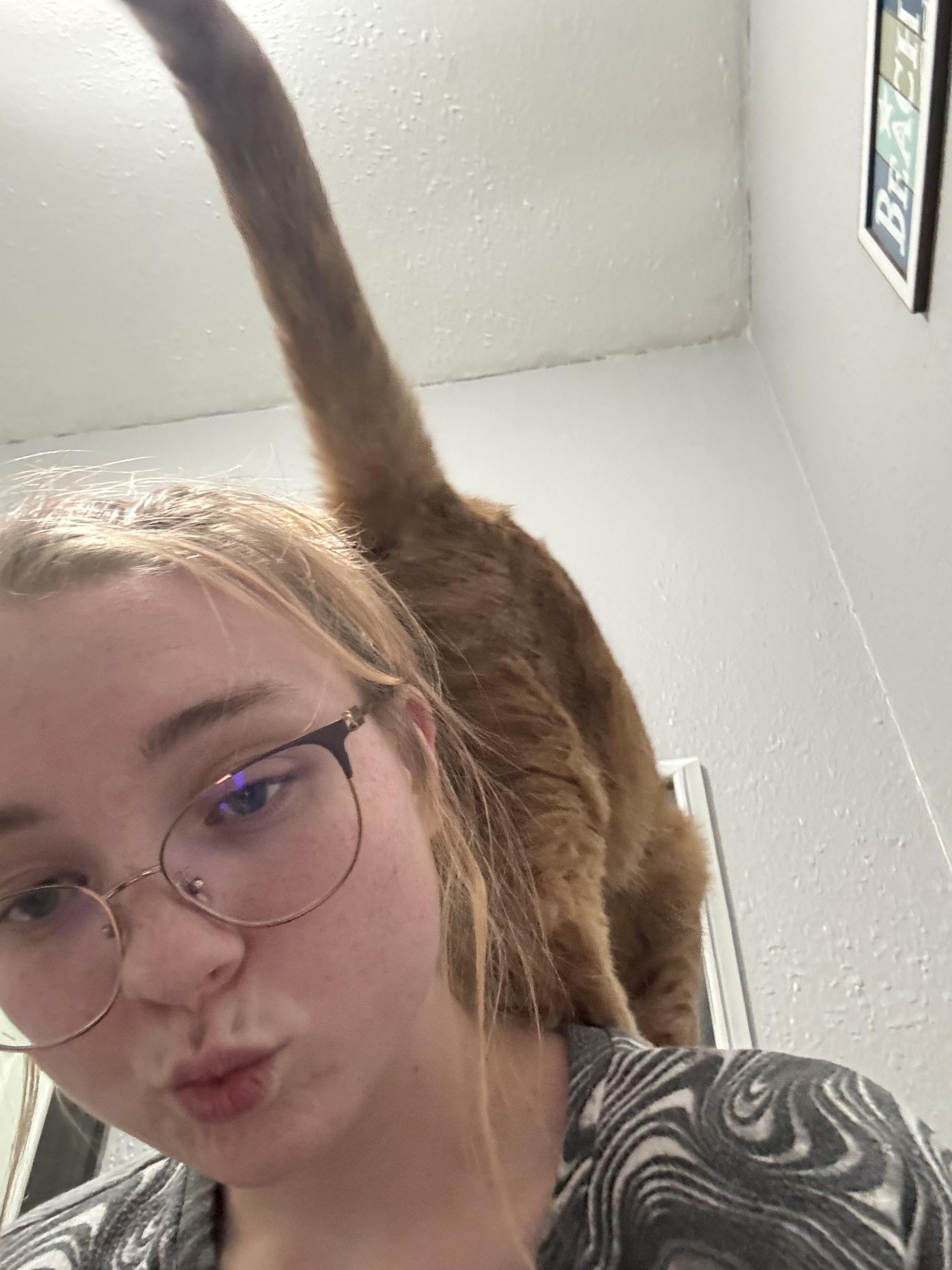 My little cheery (cheerio) i love my orange girl | Scrolller