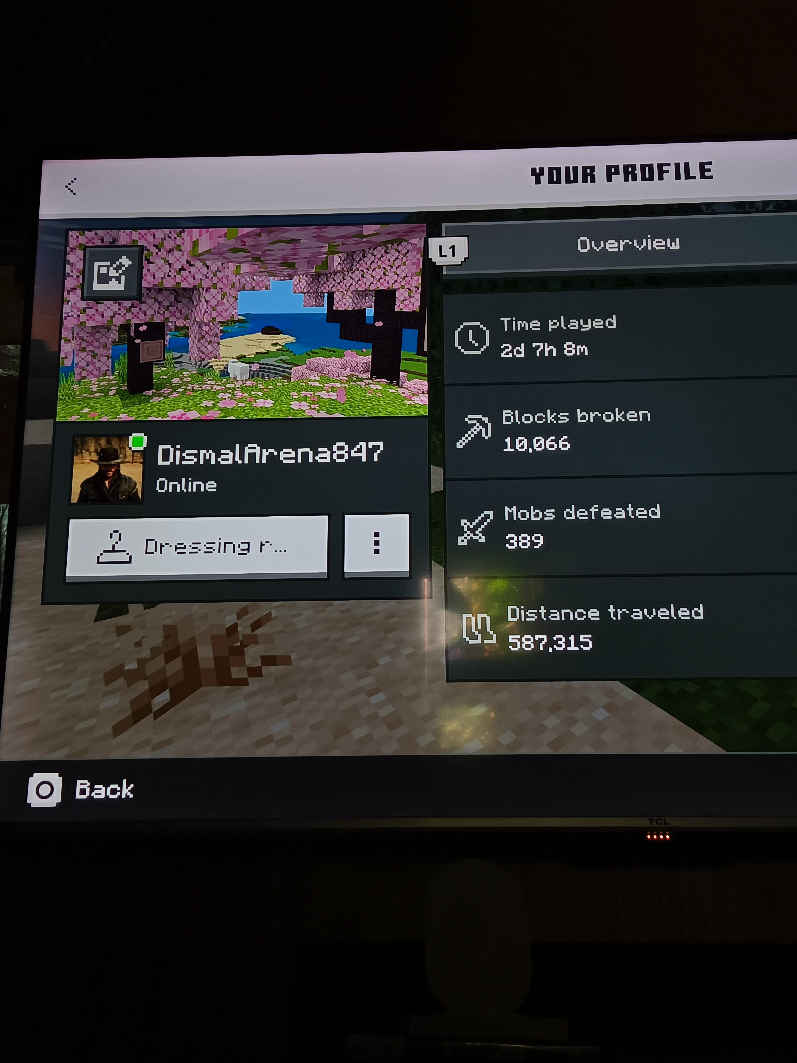 Passing the Time Trophy | Scrolller