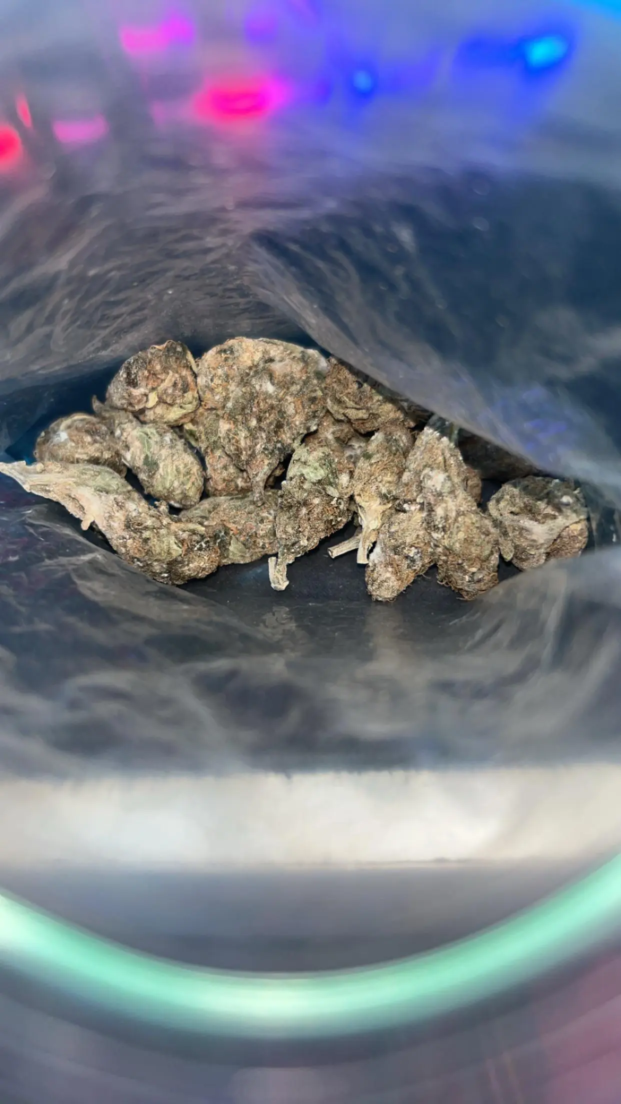 Is my weed moldy? | Scrolller