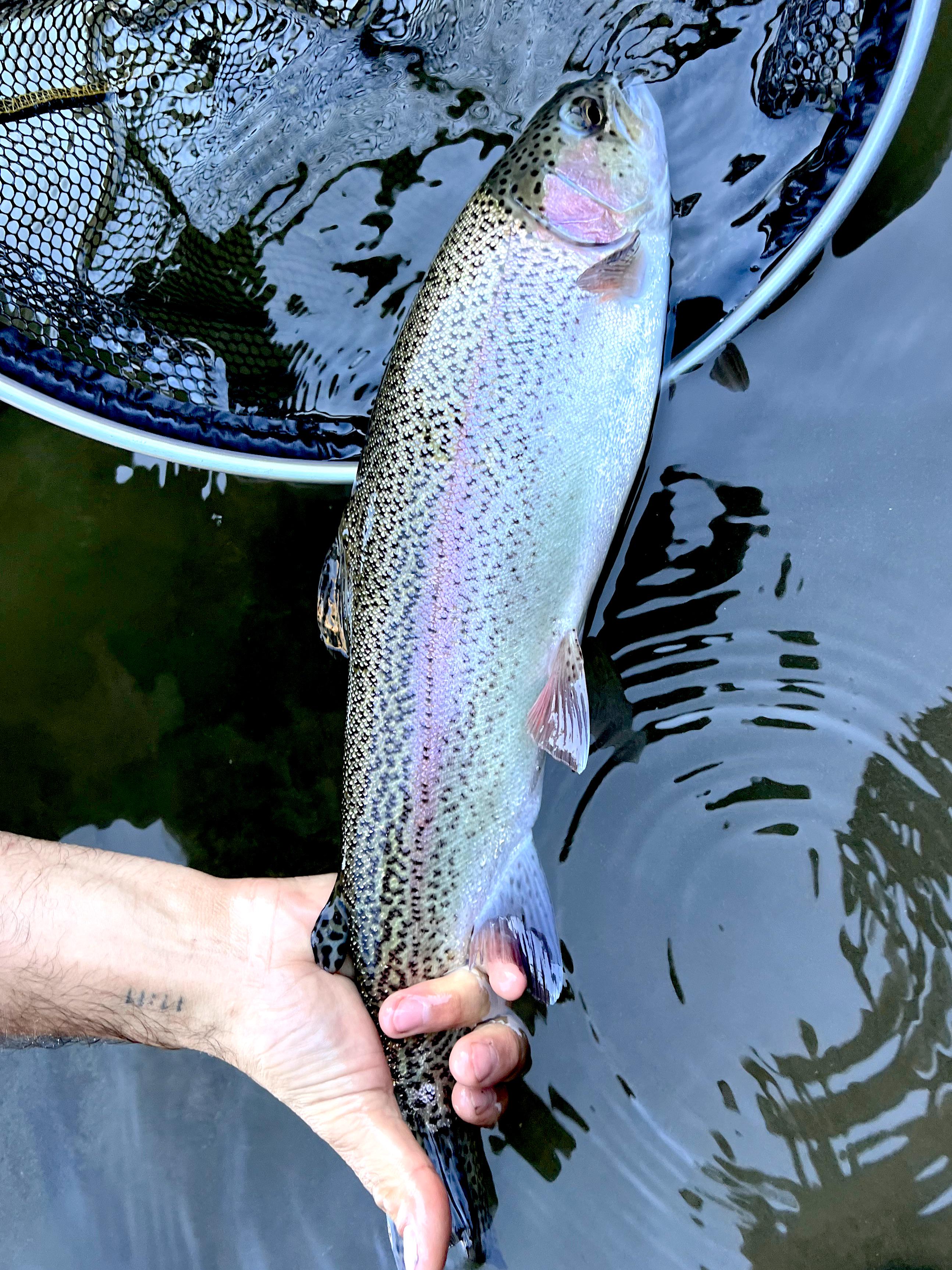 Is this a Rainbow? | Scrolller