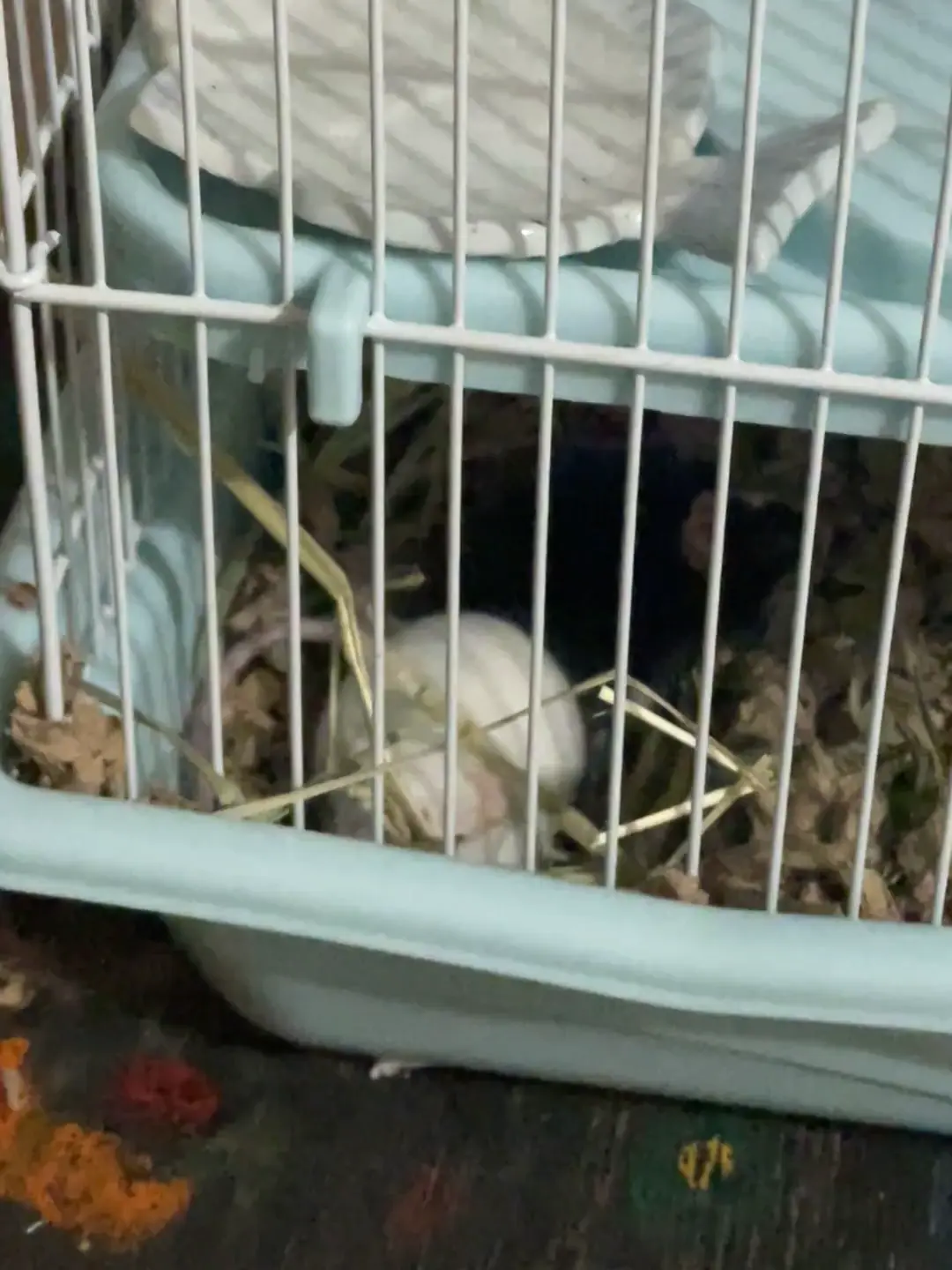 Is this behavior normal? | Scrolller