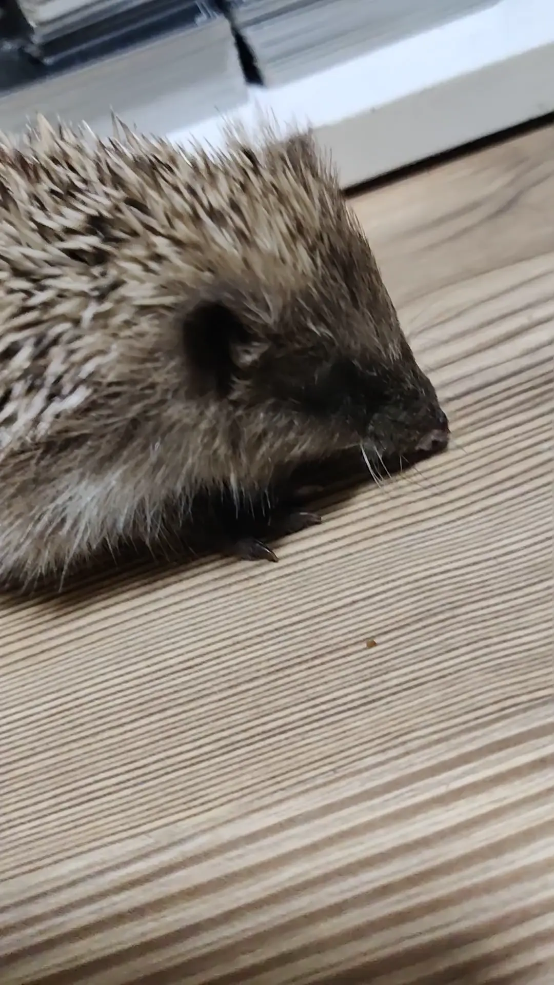 Is this breathing normal? | Scrolller