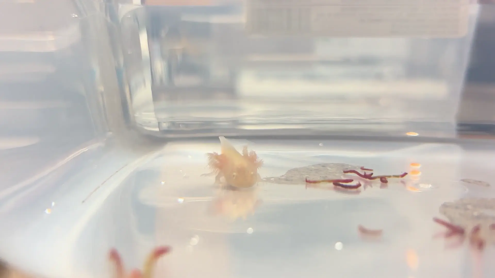 Is this normal?! | Scrolller