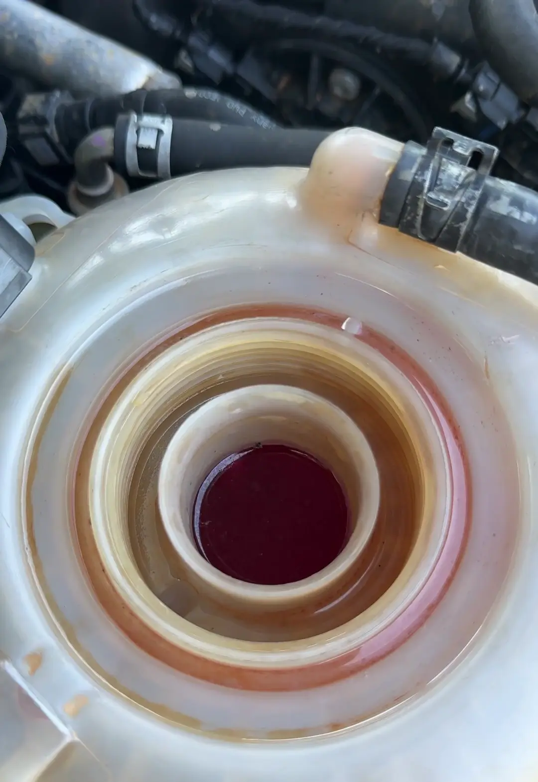 Is this normal? | Scrolller