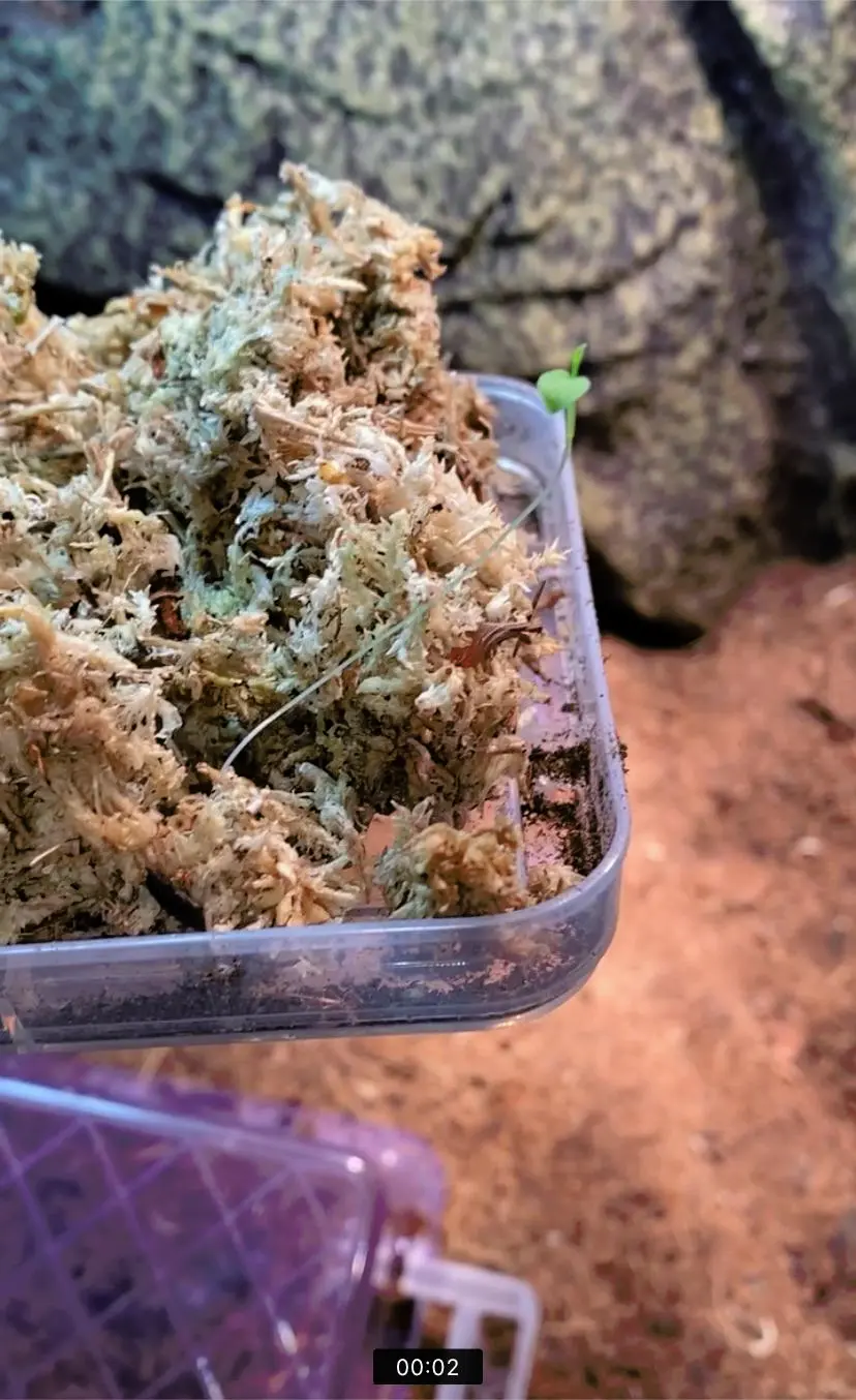 Is this normal? | Scrolller