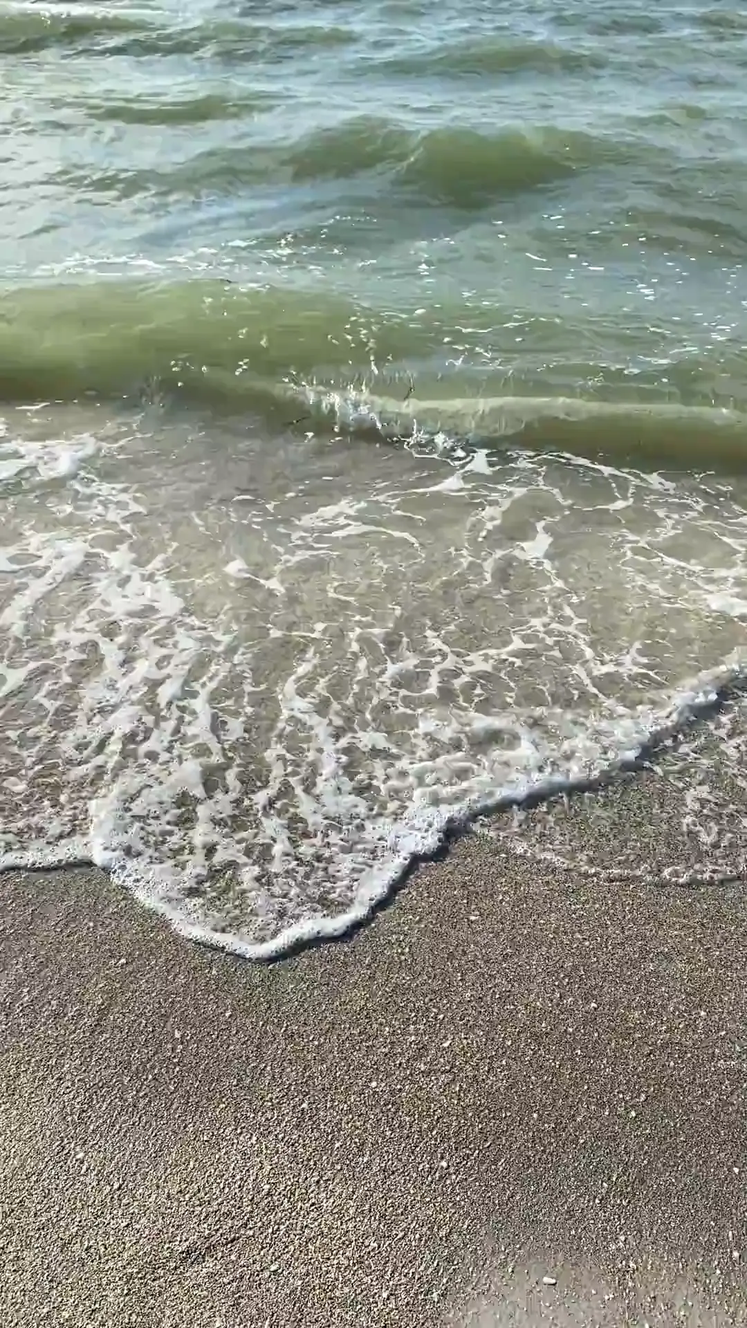 It was a pretty rough day yesterday at the beach, but Enzo was unfazed. He attacks those waves ...