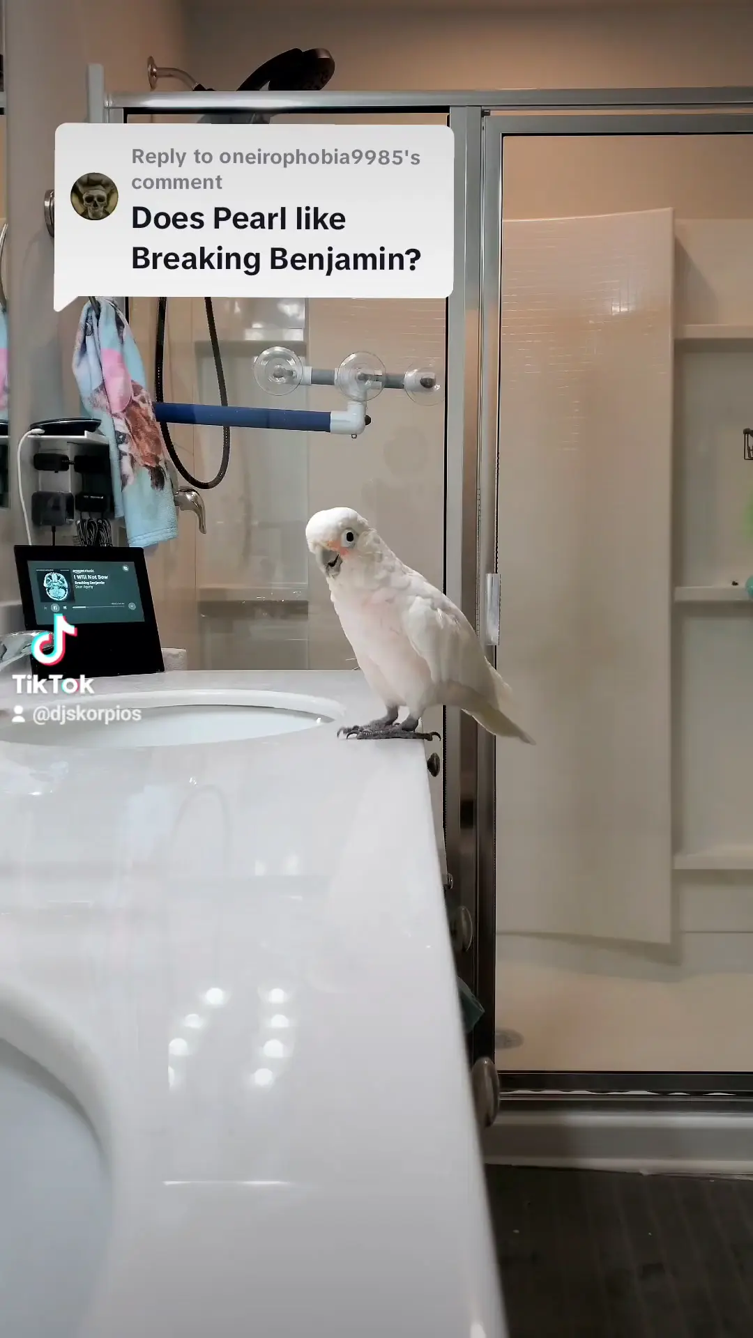 It's all about the Benjamins. 😉 | Scrolller