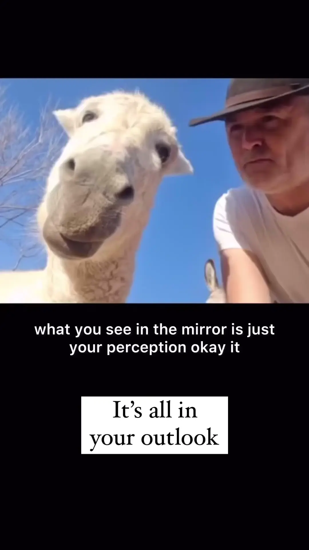 It's all in your Outlook. | Scrolller