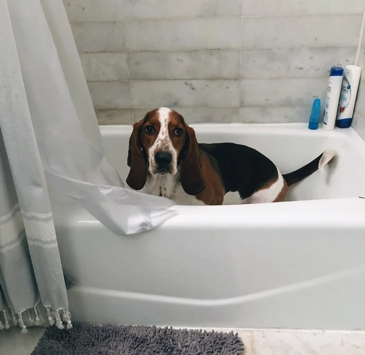 It's bathing time | Scrolller