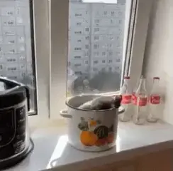 Its boiling | Scrolller