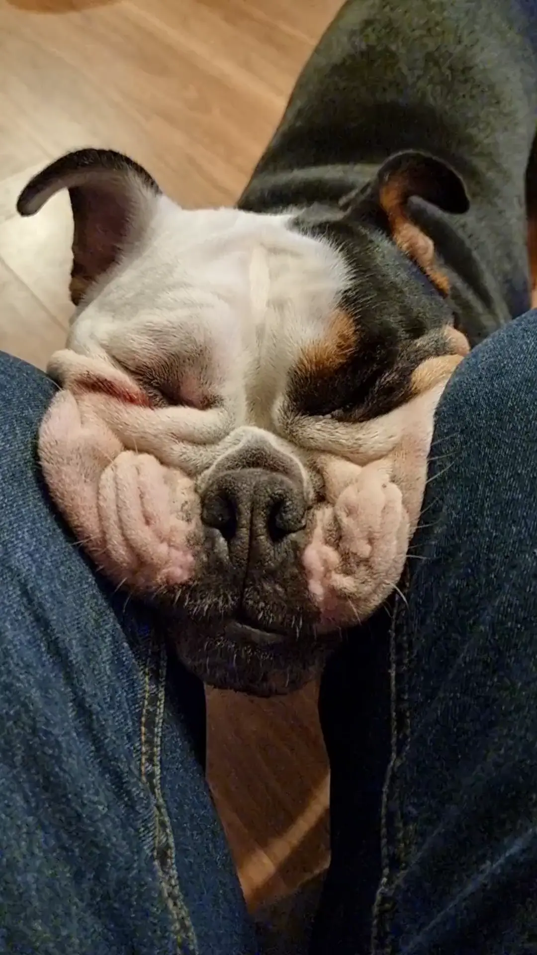 It's dinner time for the baby boy and he is not happy | Scrolller