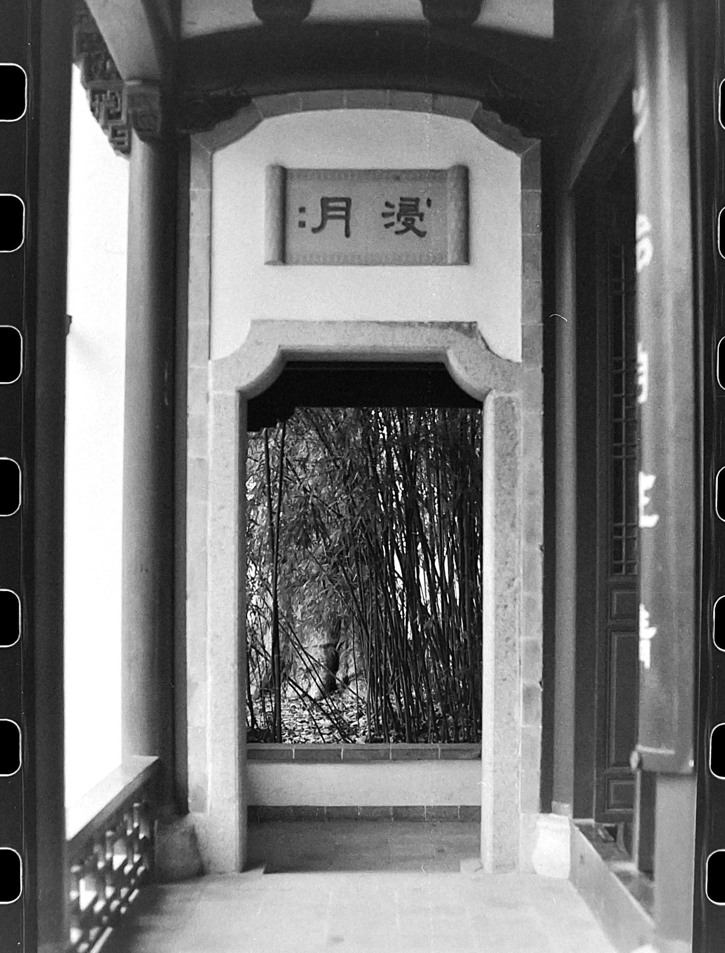 Opinions about this scans and inversions | Scrolller