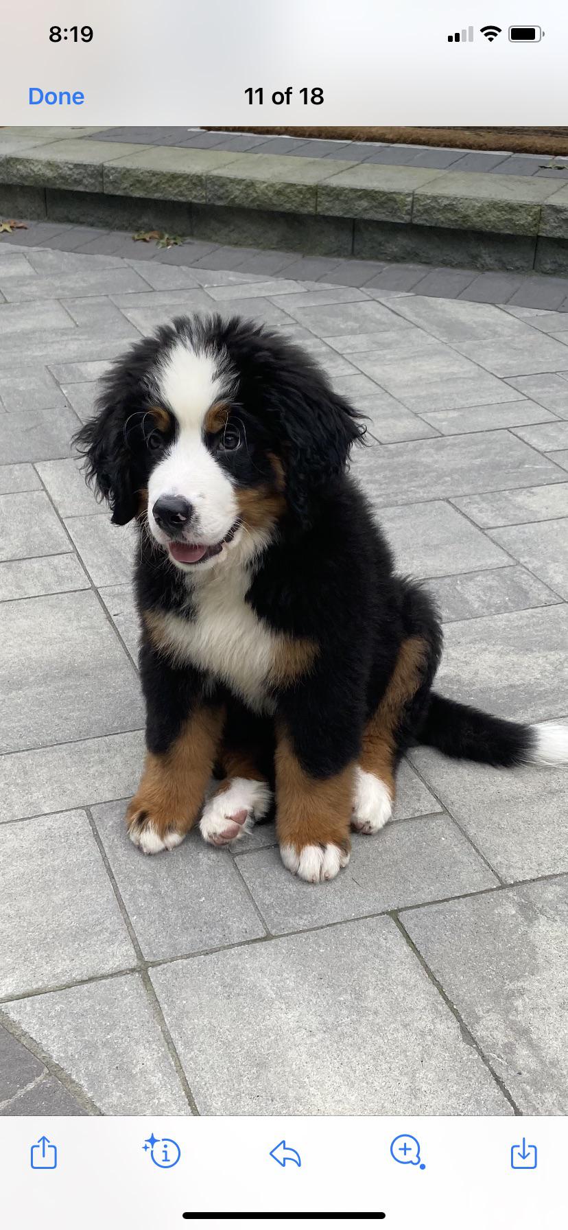 Sadie growing up quick | Scrolller