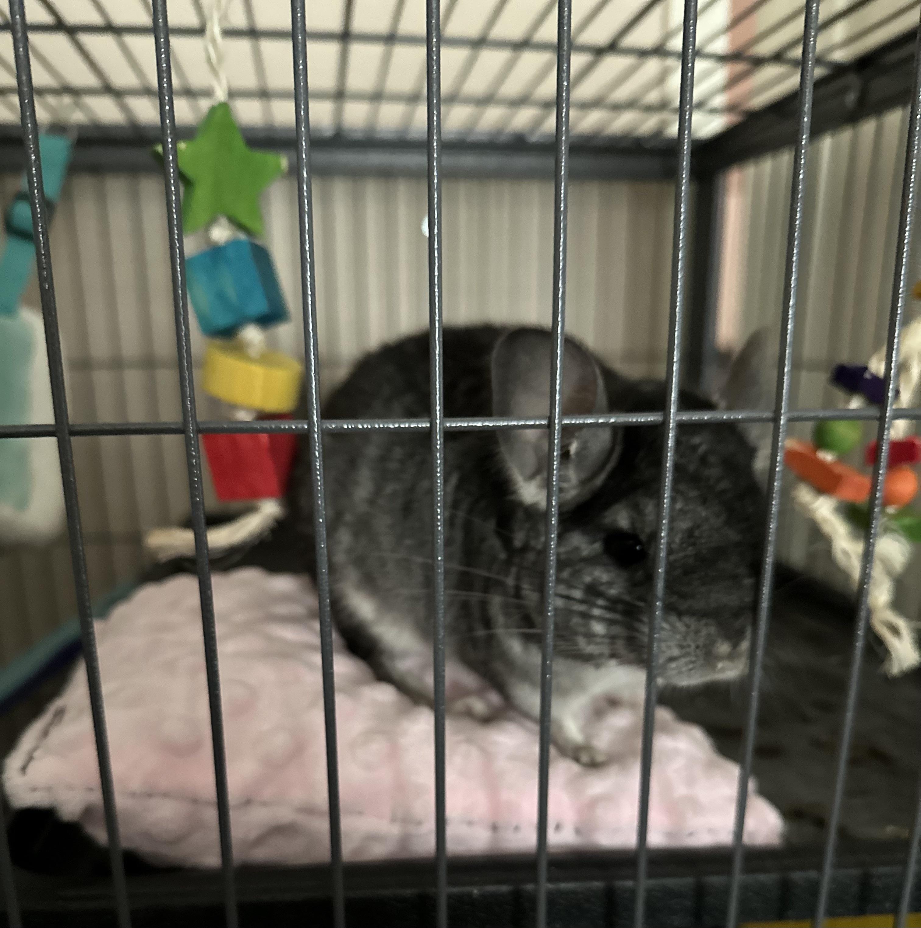 Potty Training | Scrolller