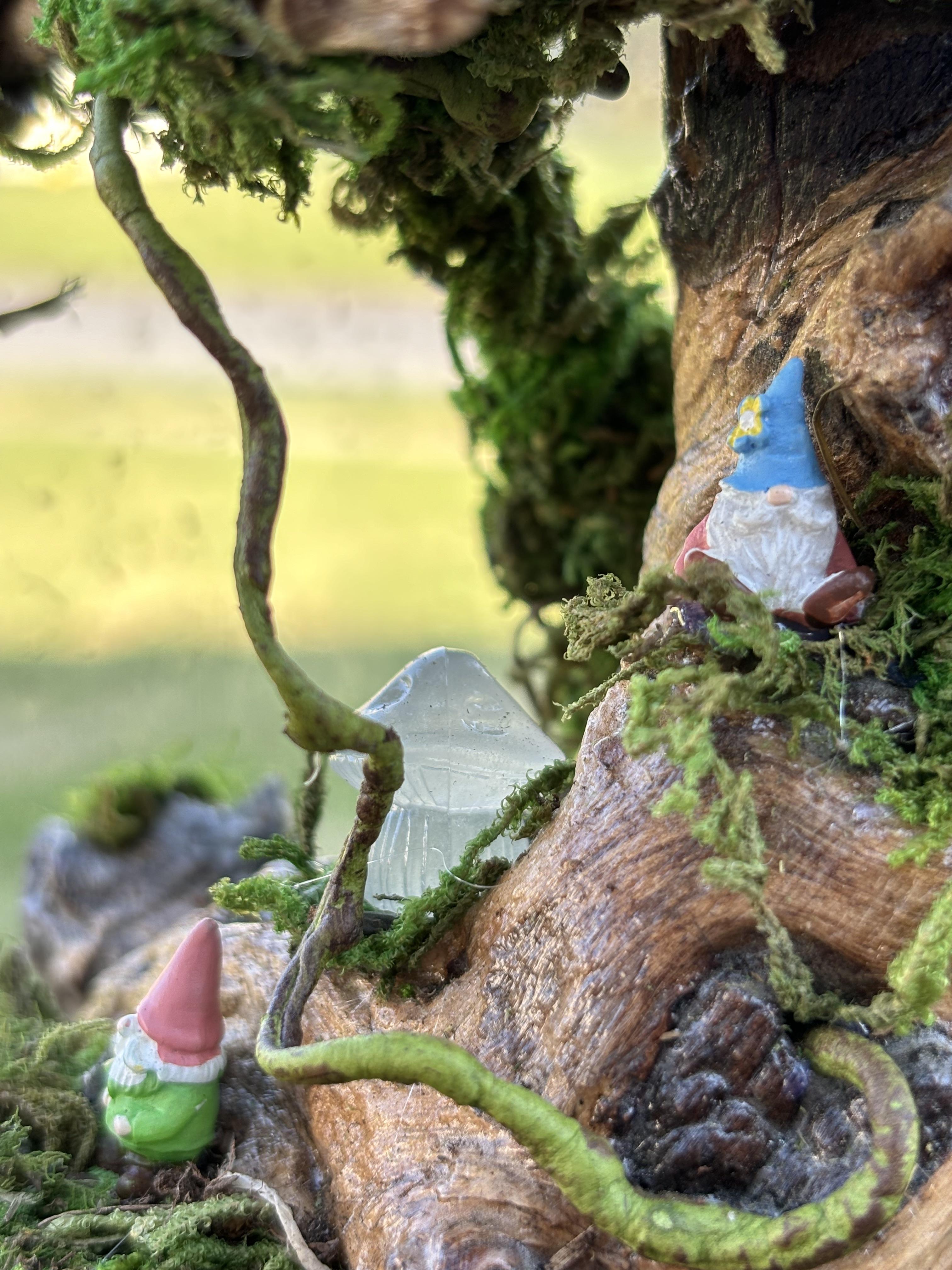 Enclosure update - thoughts? | Scrolller