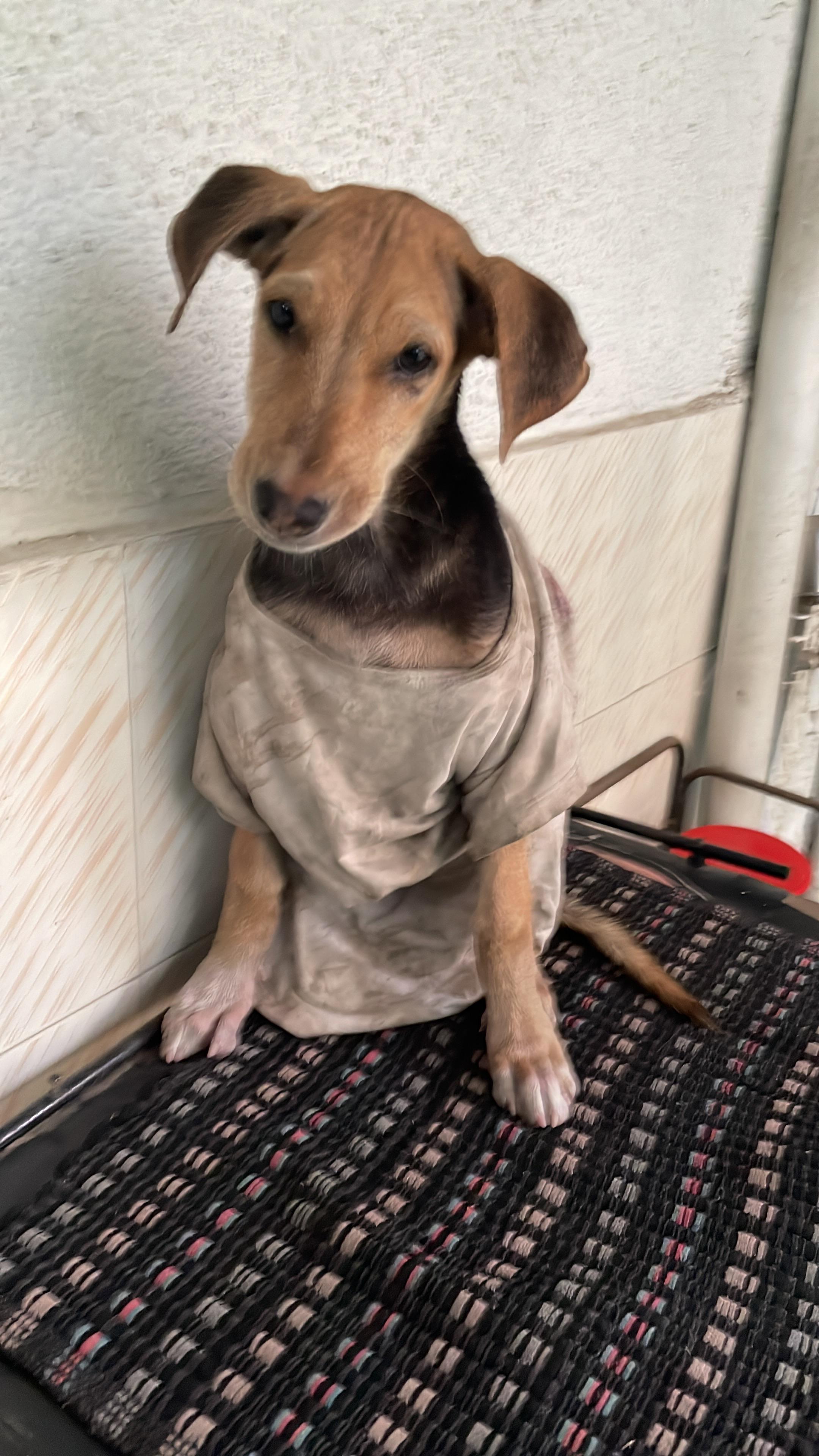 Dobby is free | Scrolller