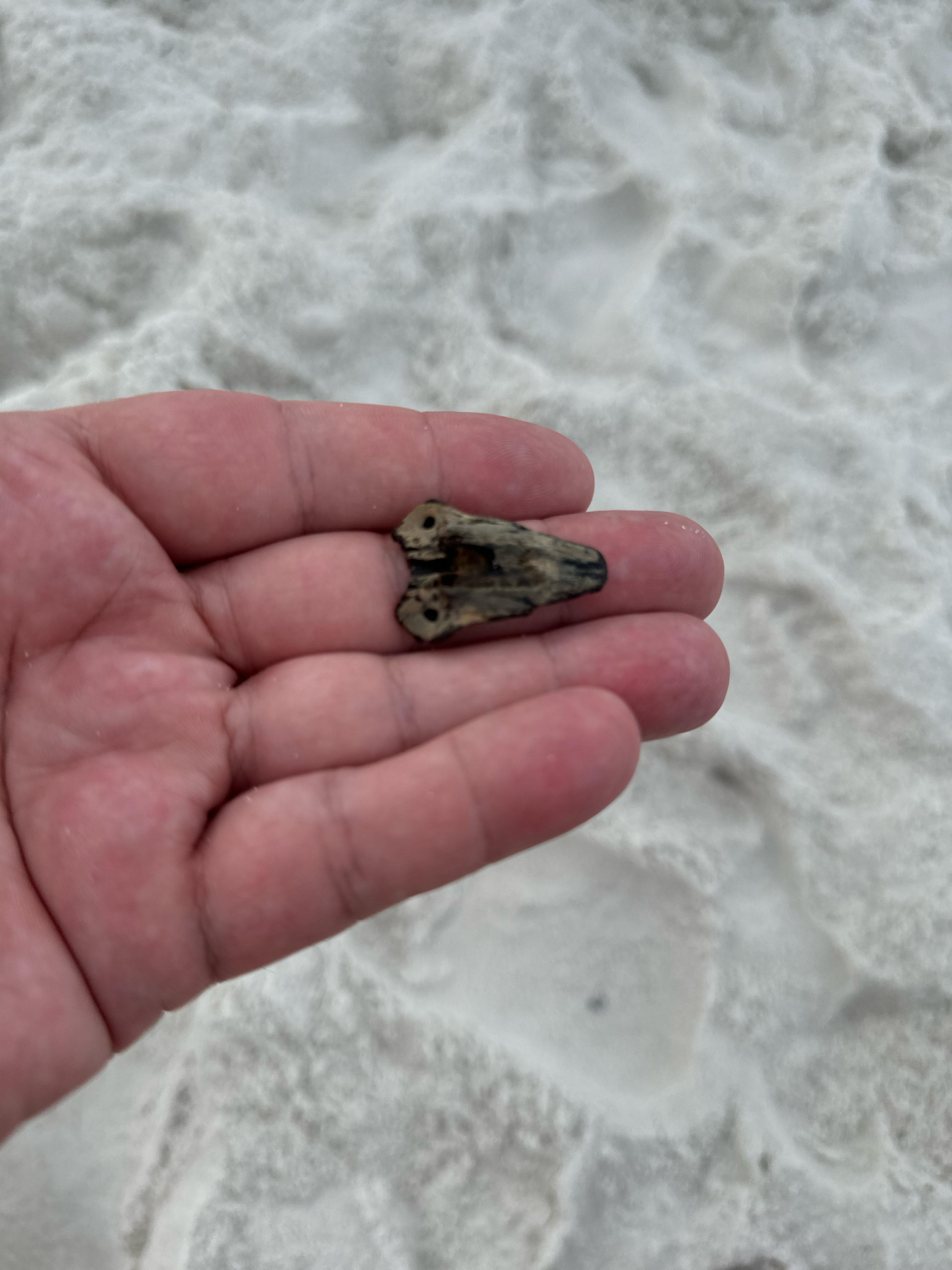 Panama City Beach, FL | Scrolller