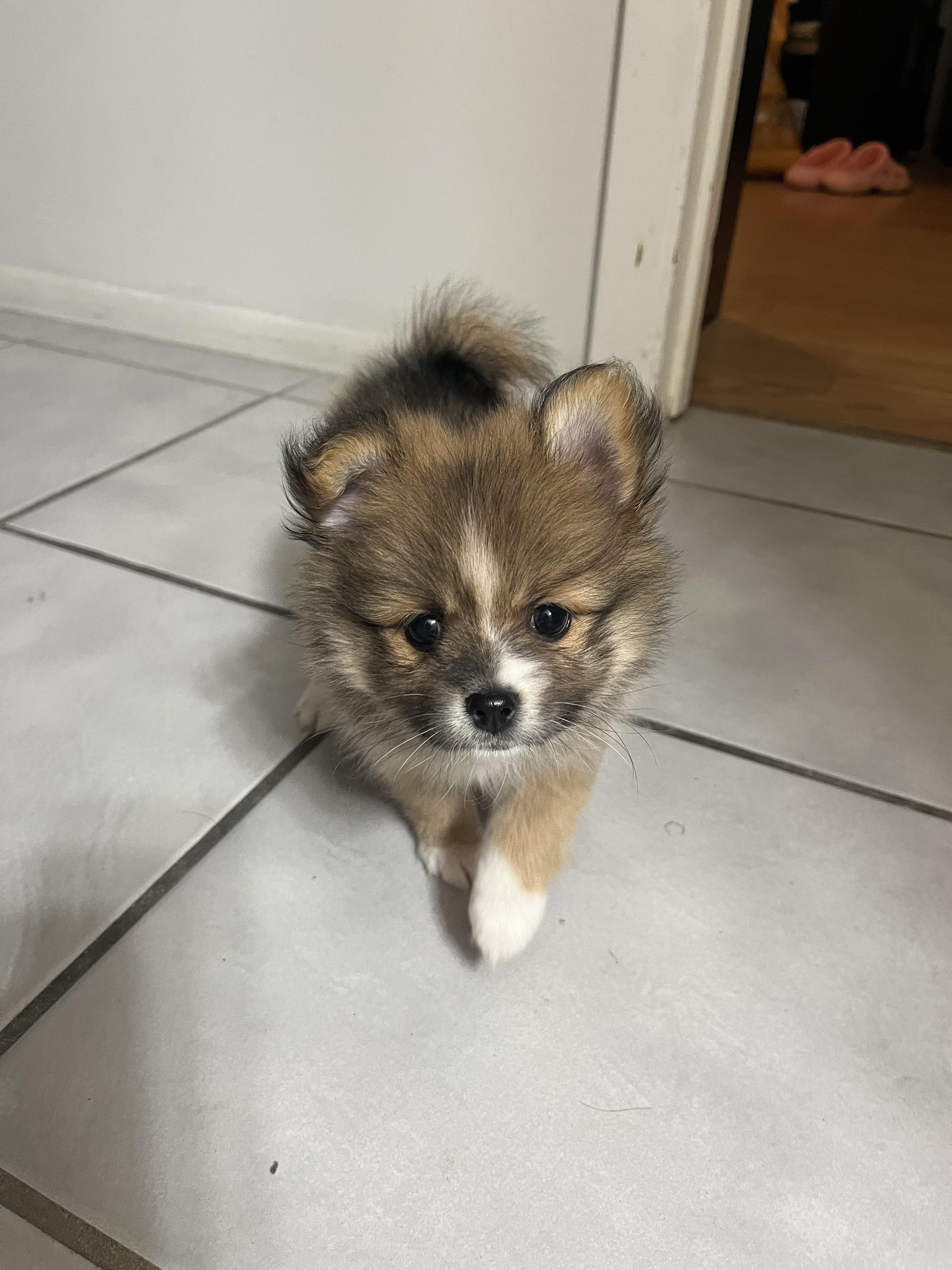 2 month difference! | Scrolller