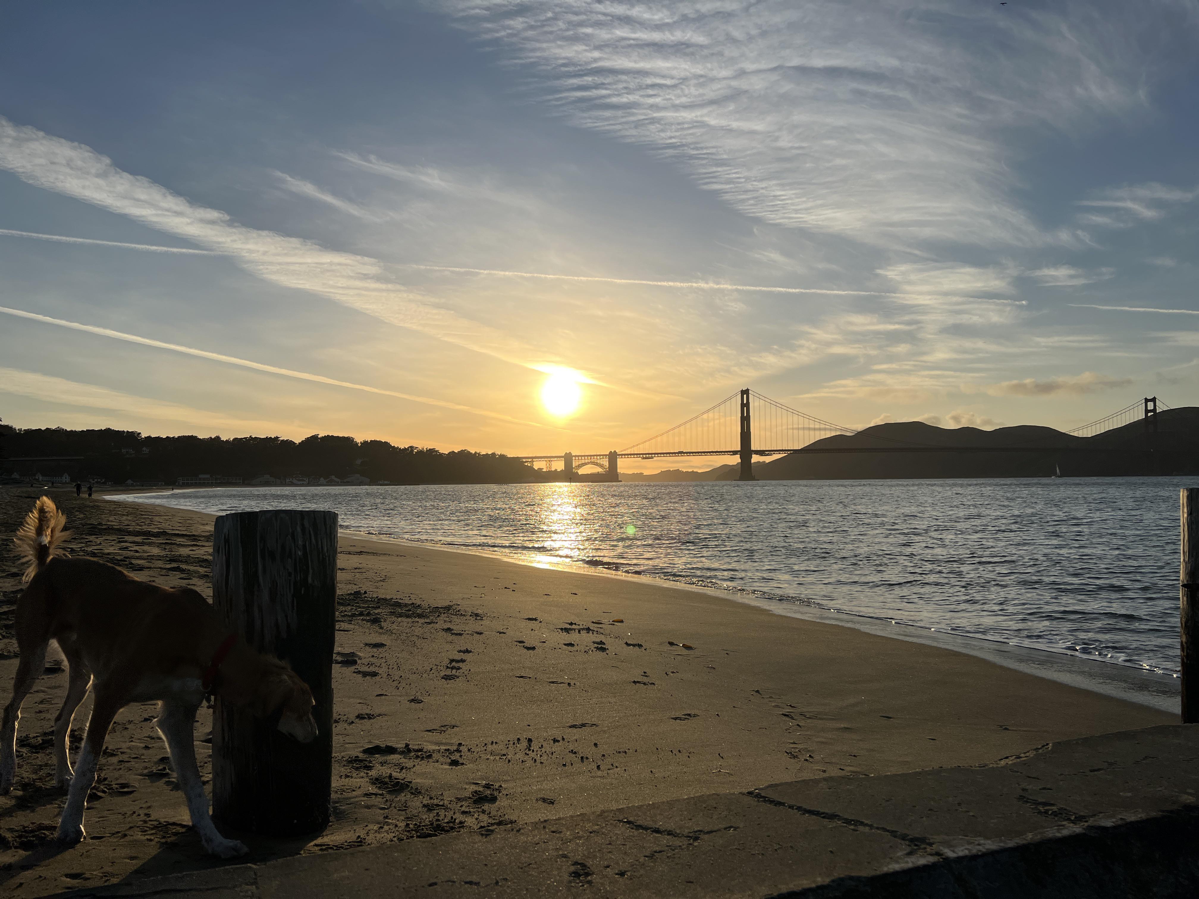 [OC] San Francisco beach sunset, photo bomb. | Scrolller