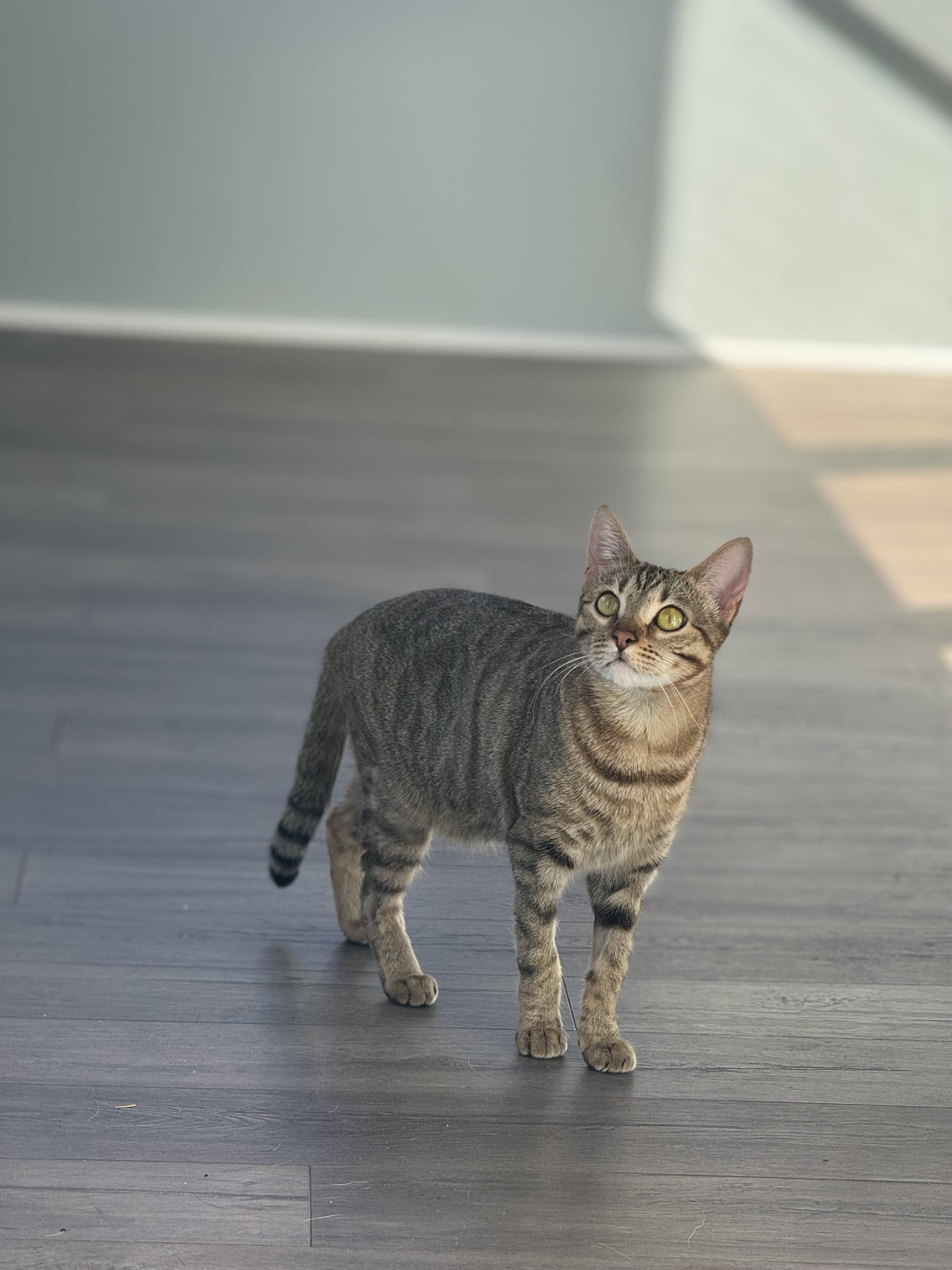 My daughter Percy puts her application | Scrolller