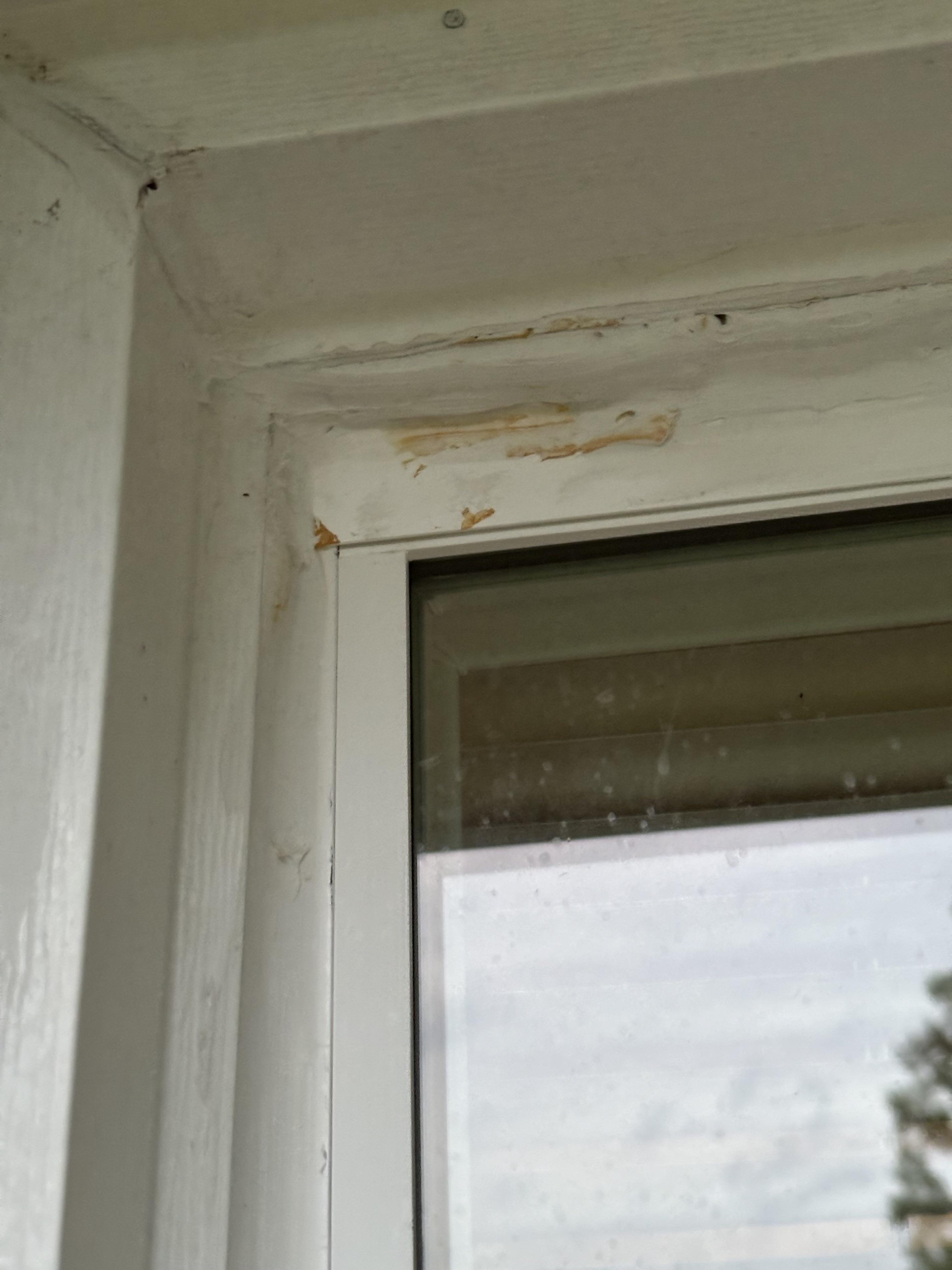 Window install question | Scrolller