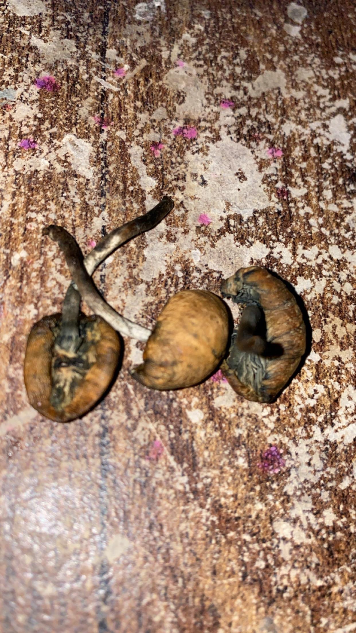 Can anyone identify if these are active? | Scrolller