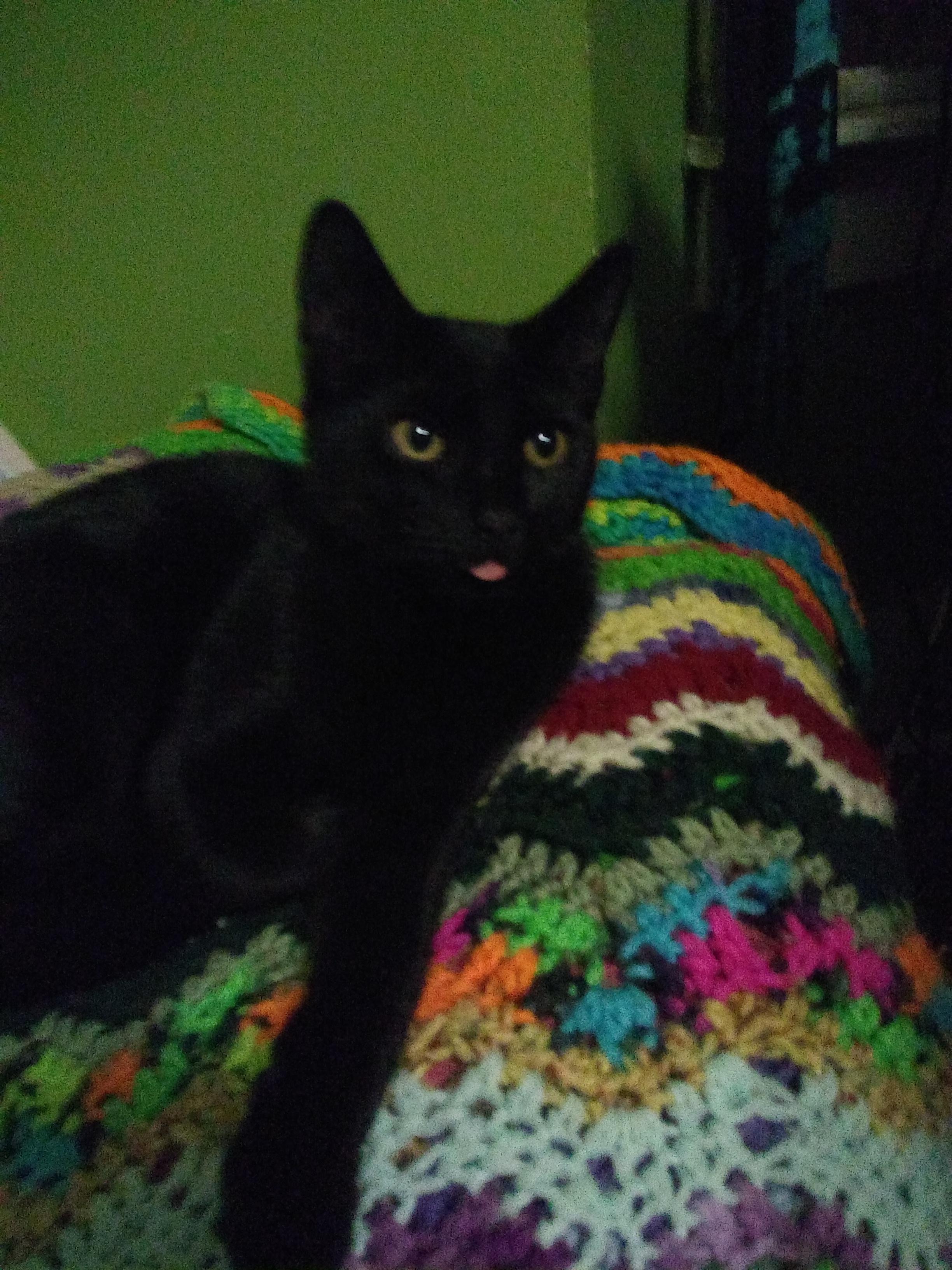 I think his tongue is stuck | Scrolller