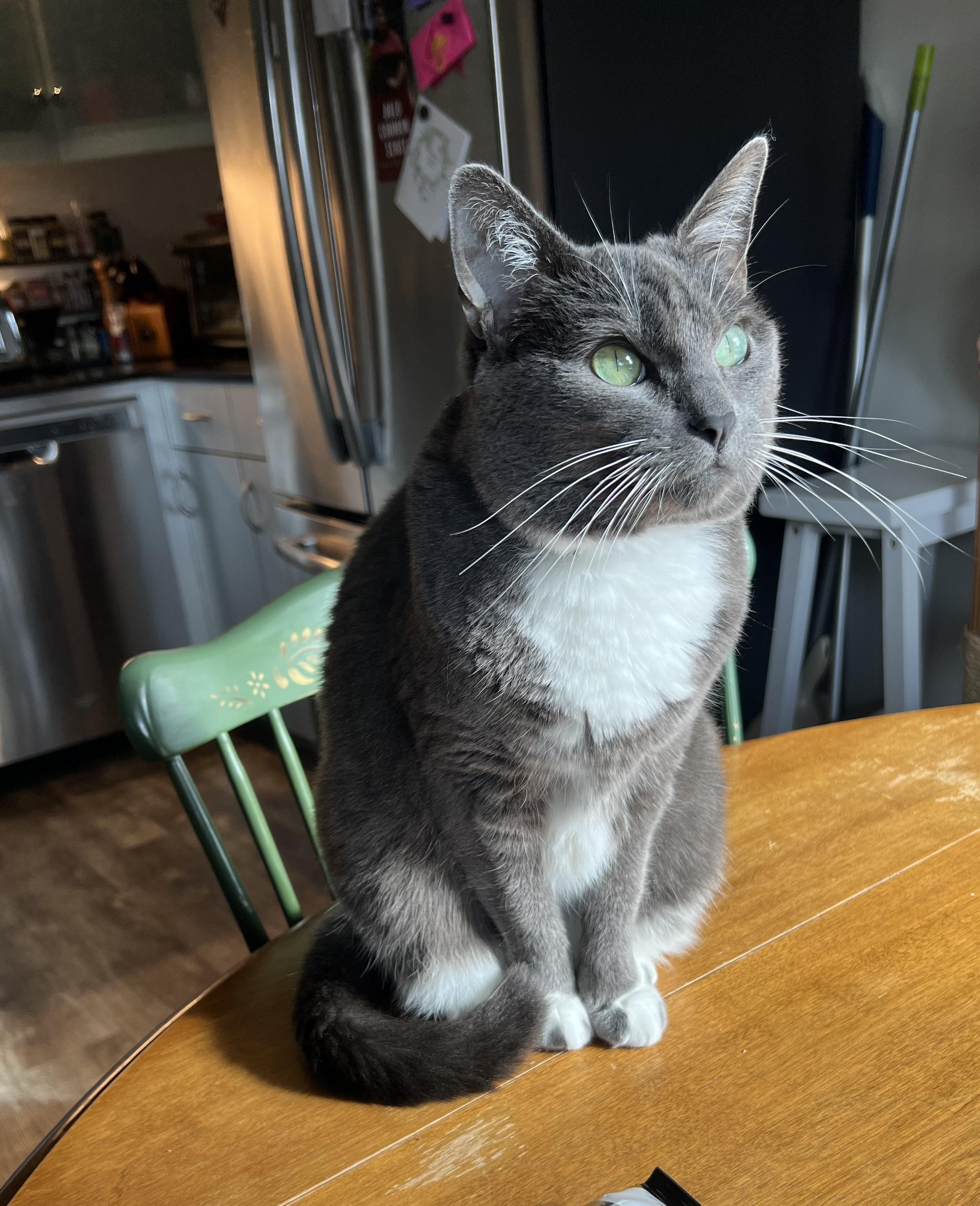 Three Demons | Scrolller