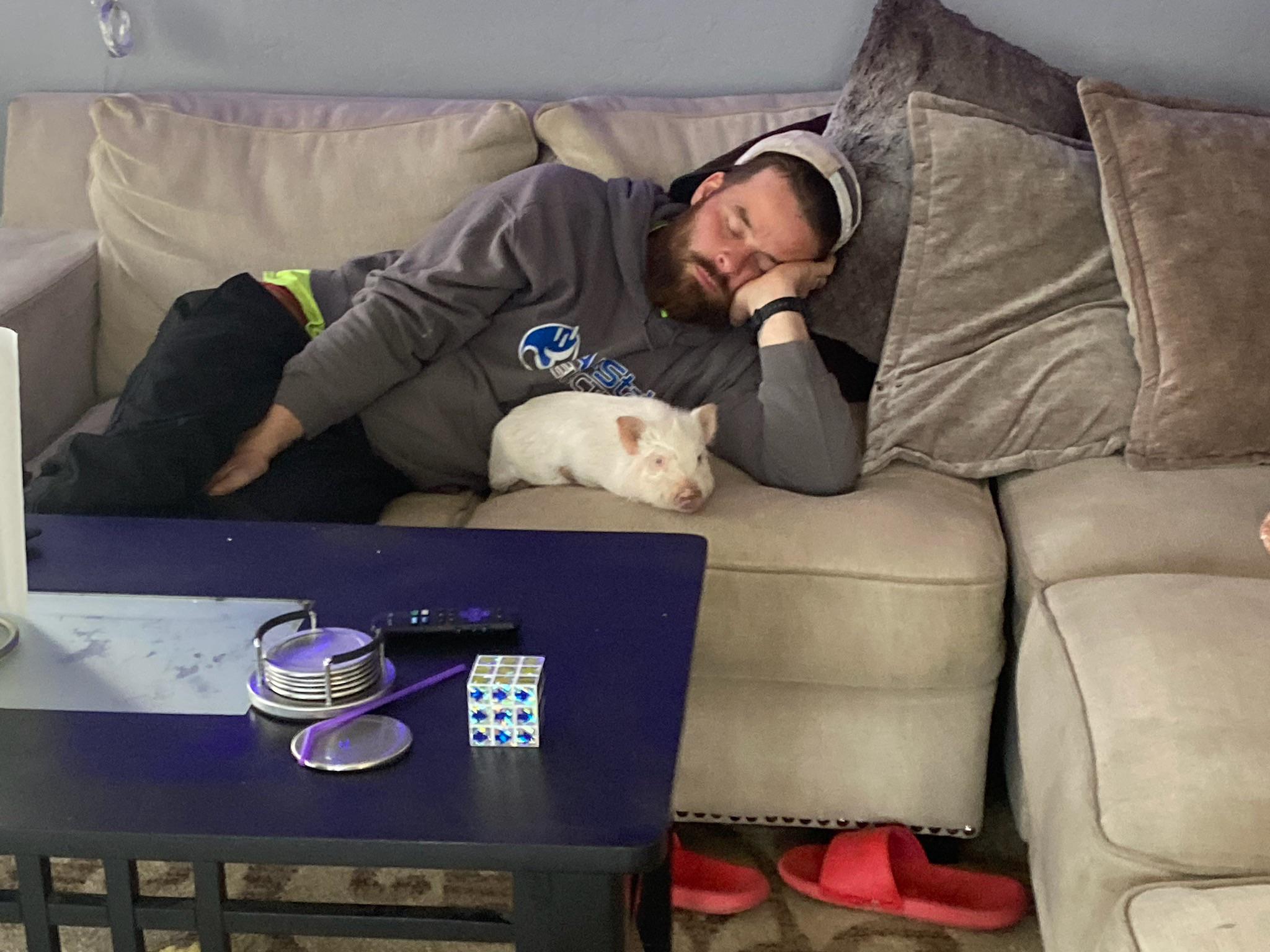 My new piggy I think we’re getting along | Scrolller