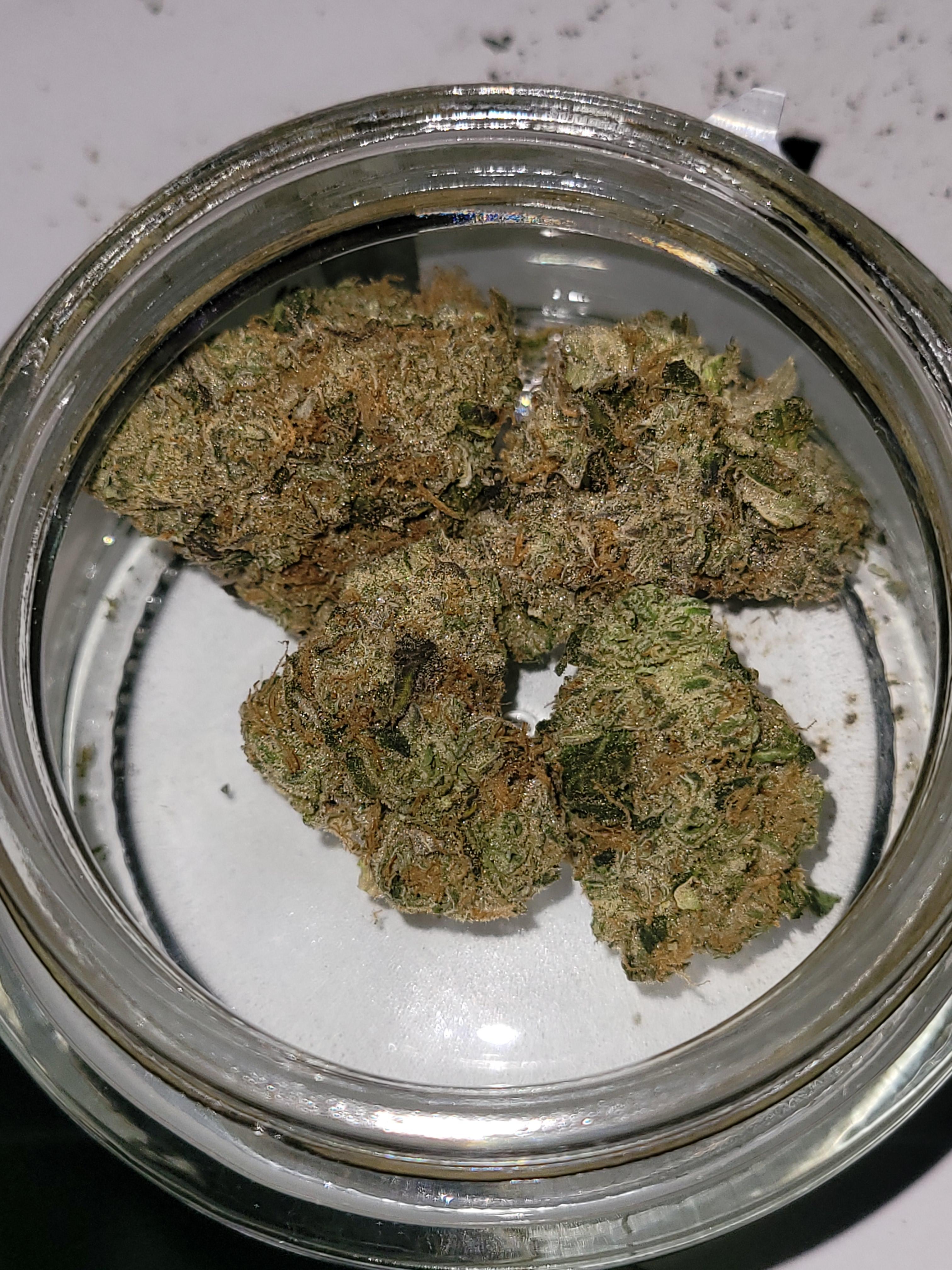 Cherry Pie x GMO | Scrolller