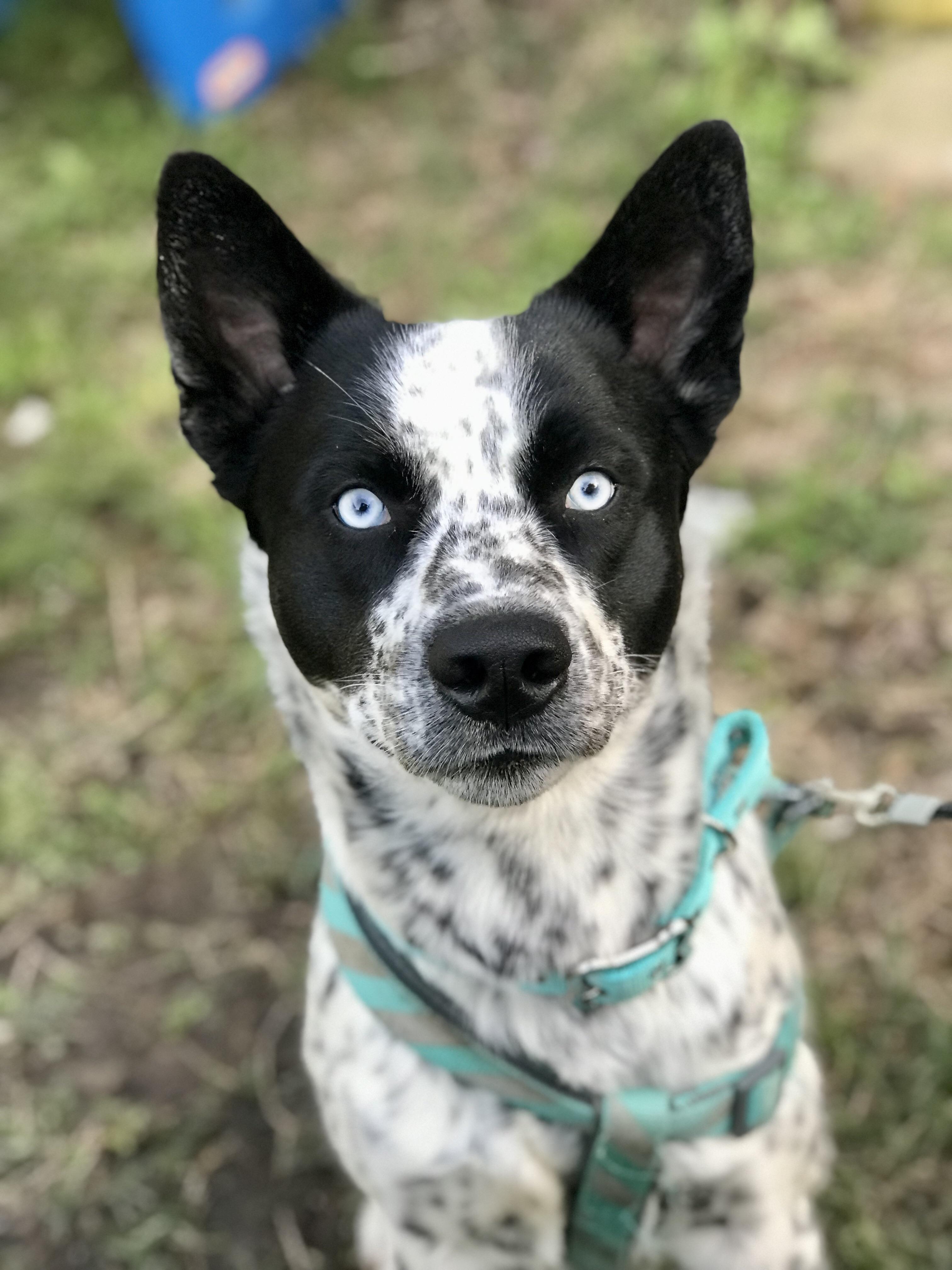 (OC) it is my boy Taro’s first birthday! I can’t believe it. Time really does move so fast ...