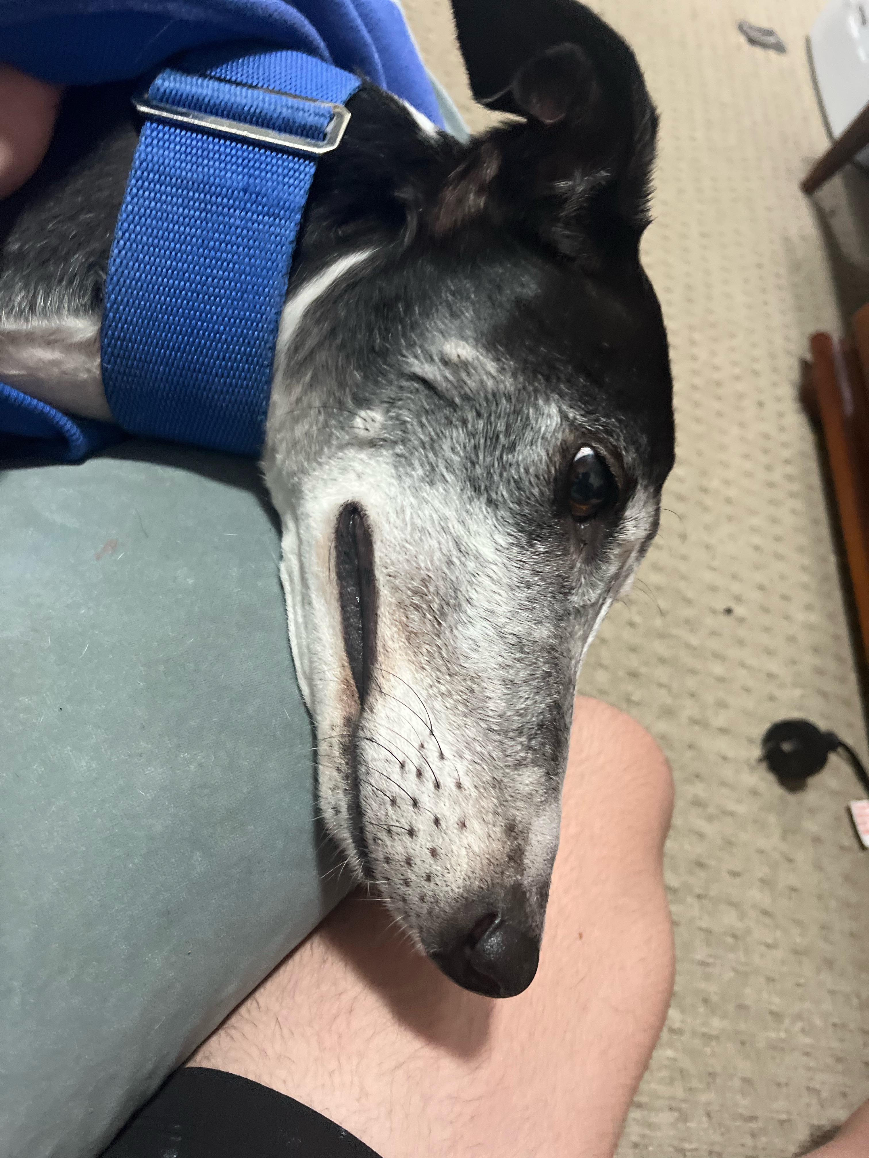 Goofy smile | Scrolller