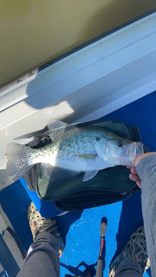 Some slabs | Scrolller