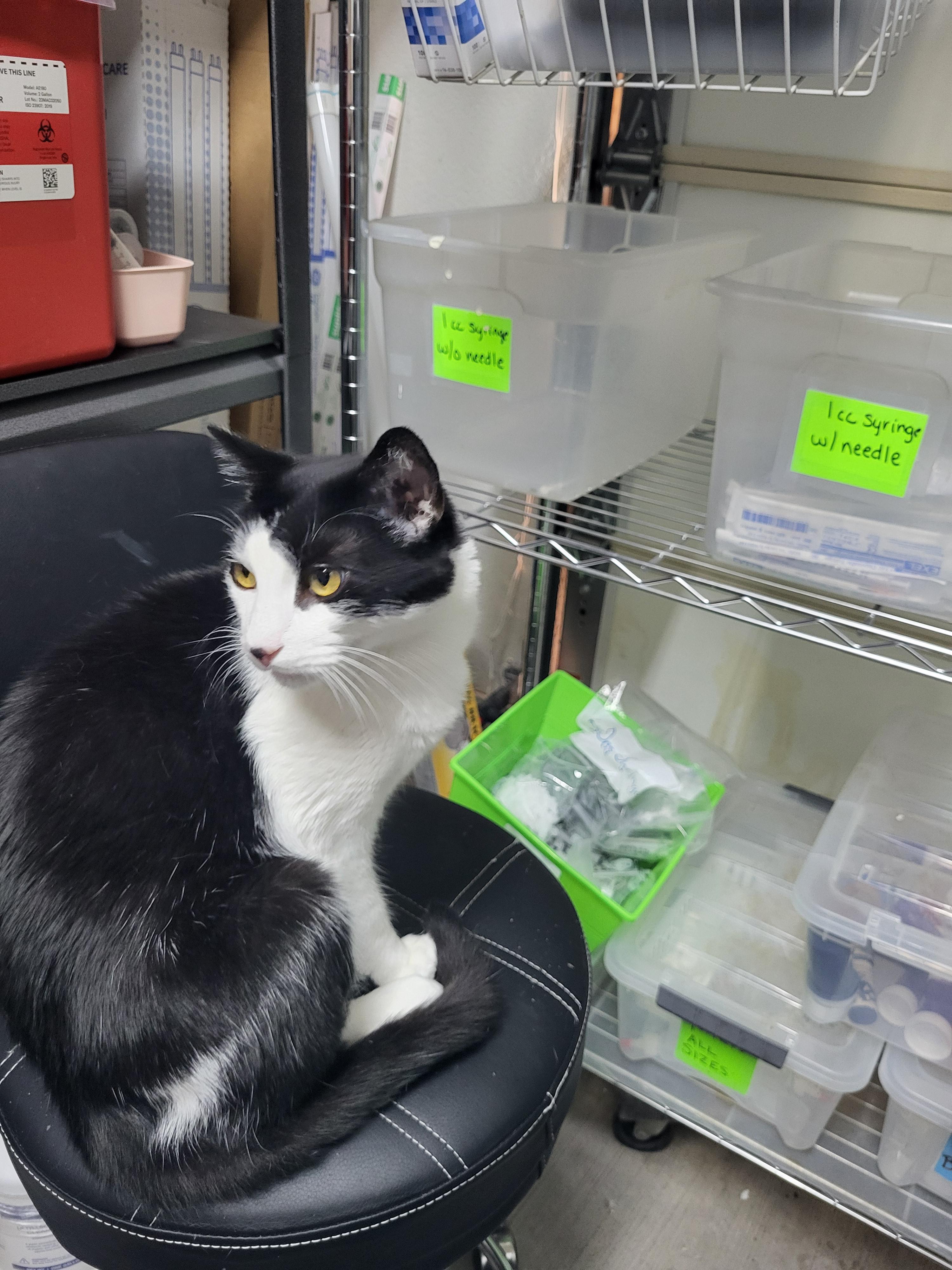 Jacob the pharmacy tech | Scrolller