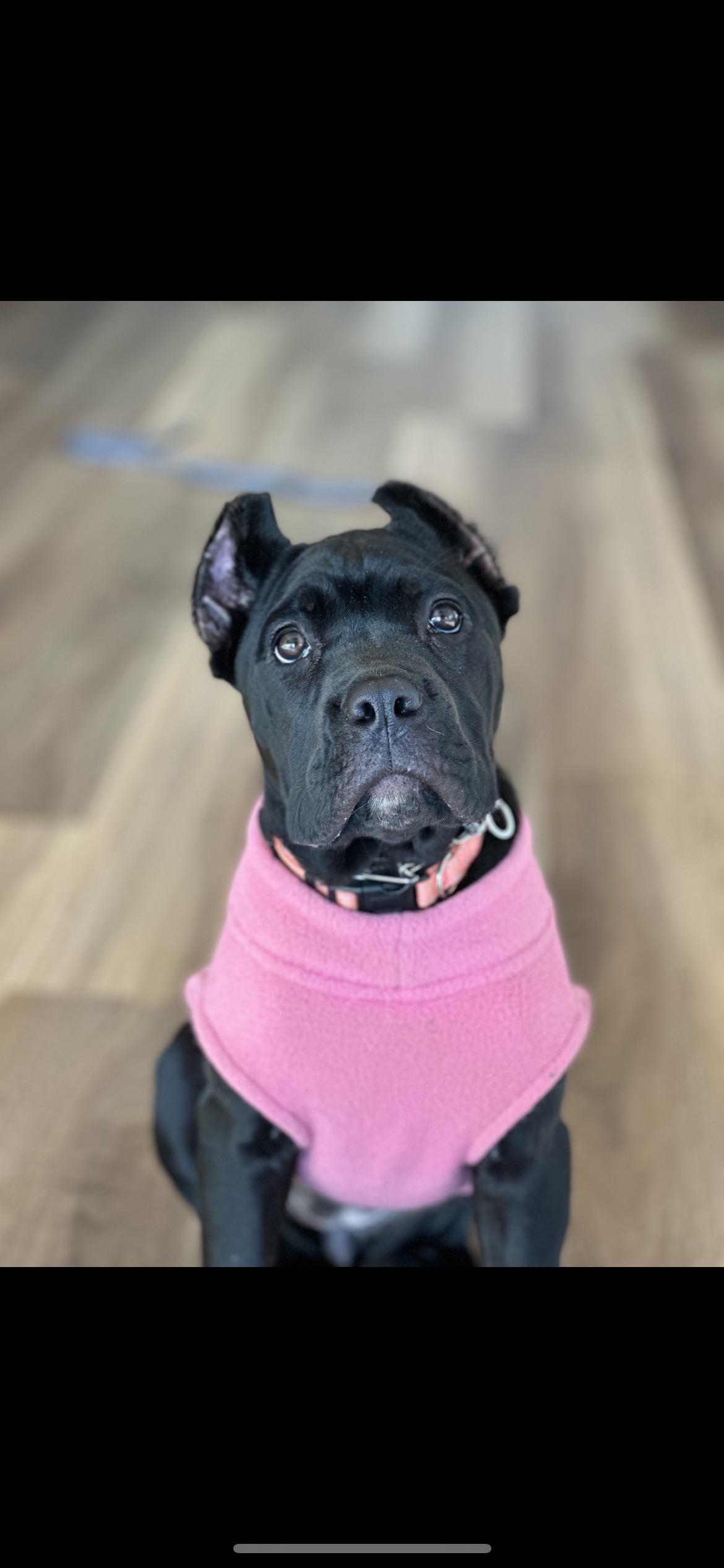 She’s very sweet and such a quick learner | Scrolller