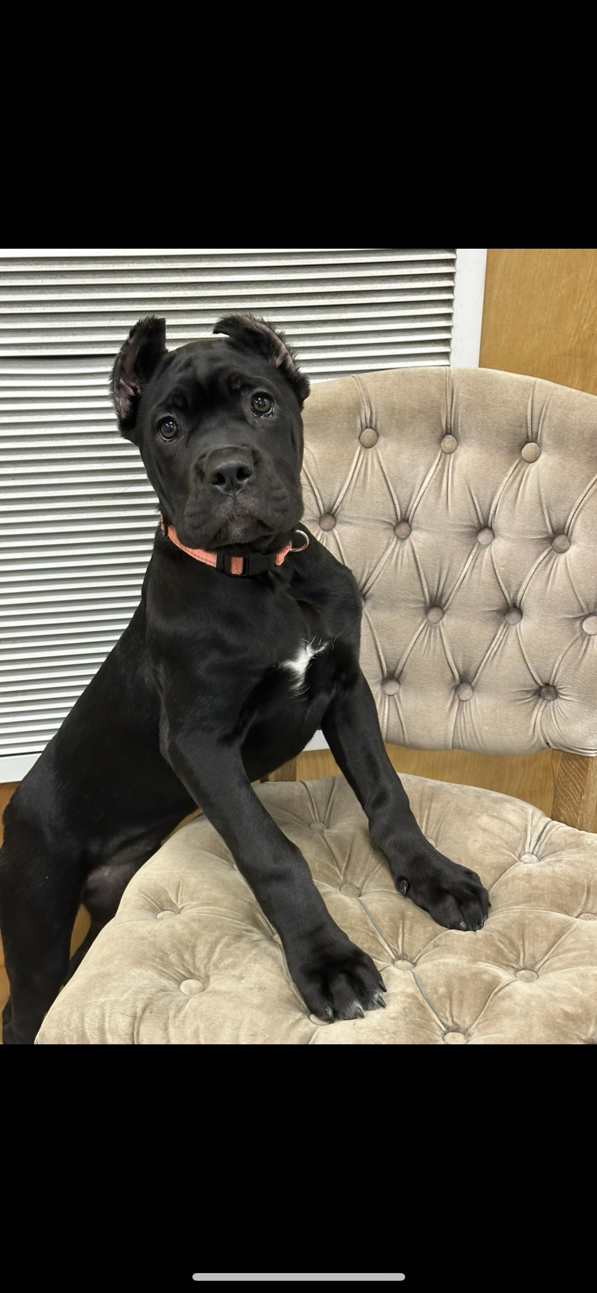 She’s very sweet and such a quick learner | Scrolller