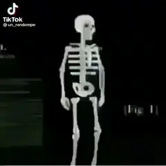 Jaja rodillas | Scrolller