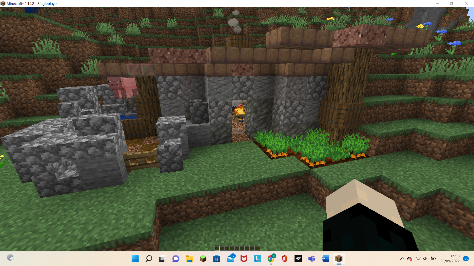 A small village house I built | Scrolller