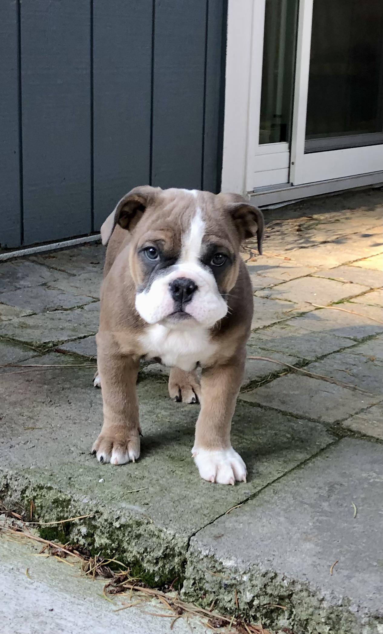 Meet Emma. | Scrolller