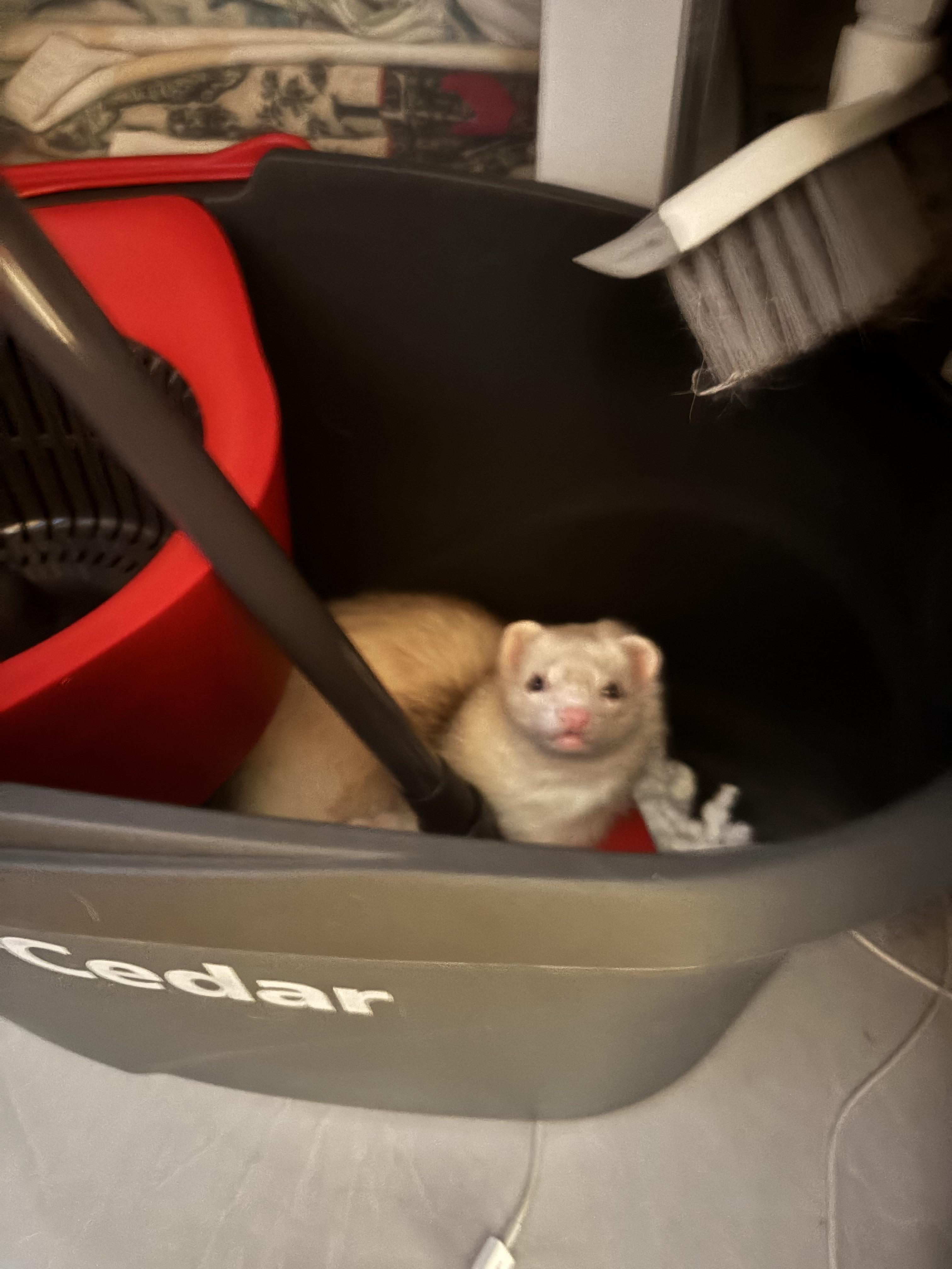 WHY IS SHE SO WEIRD!!?? | Scrolller