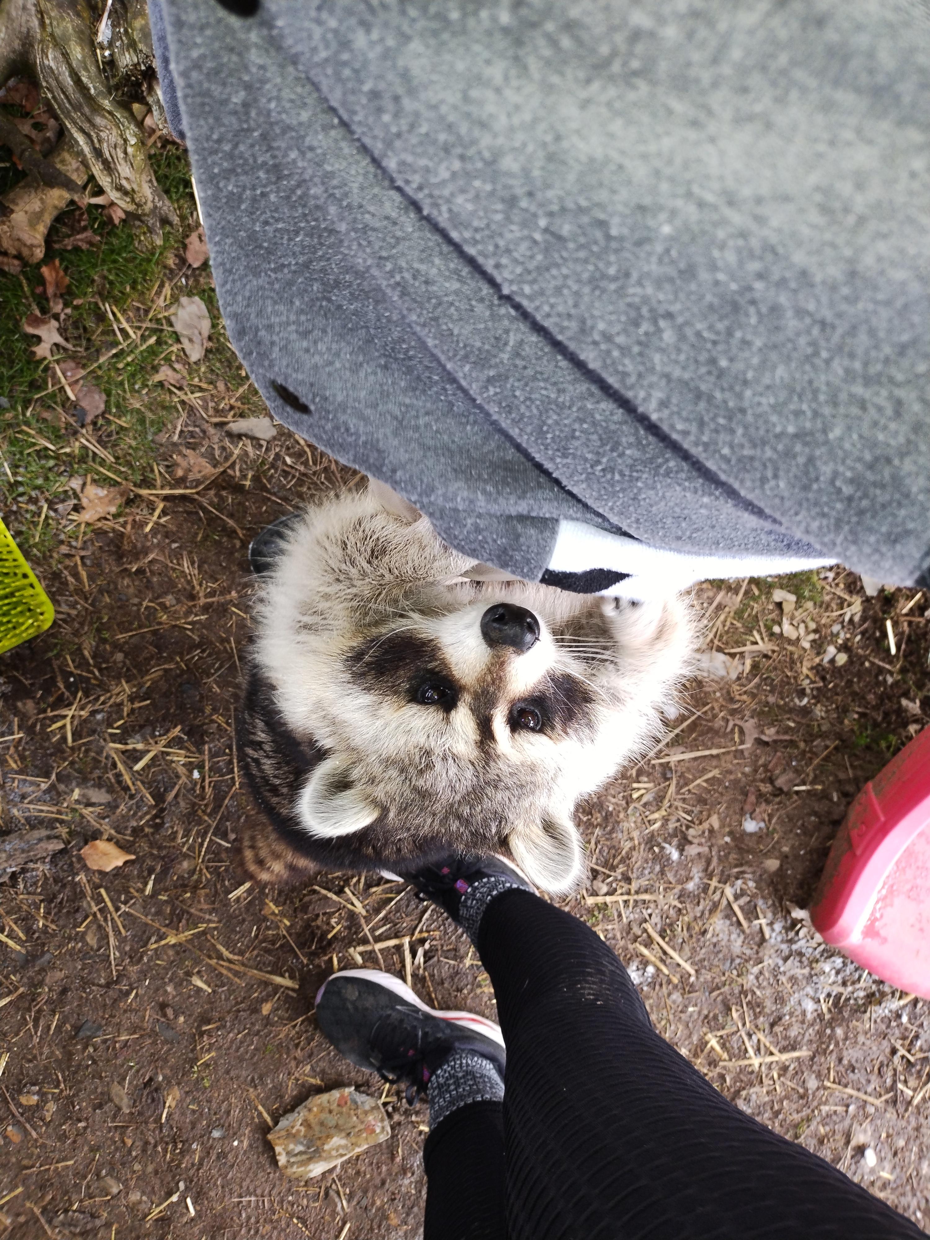 Zoo encounter | Scrolller