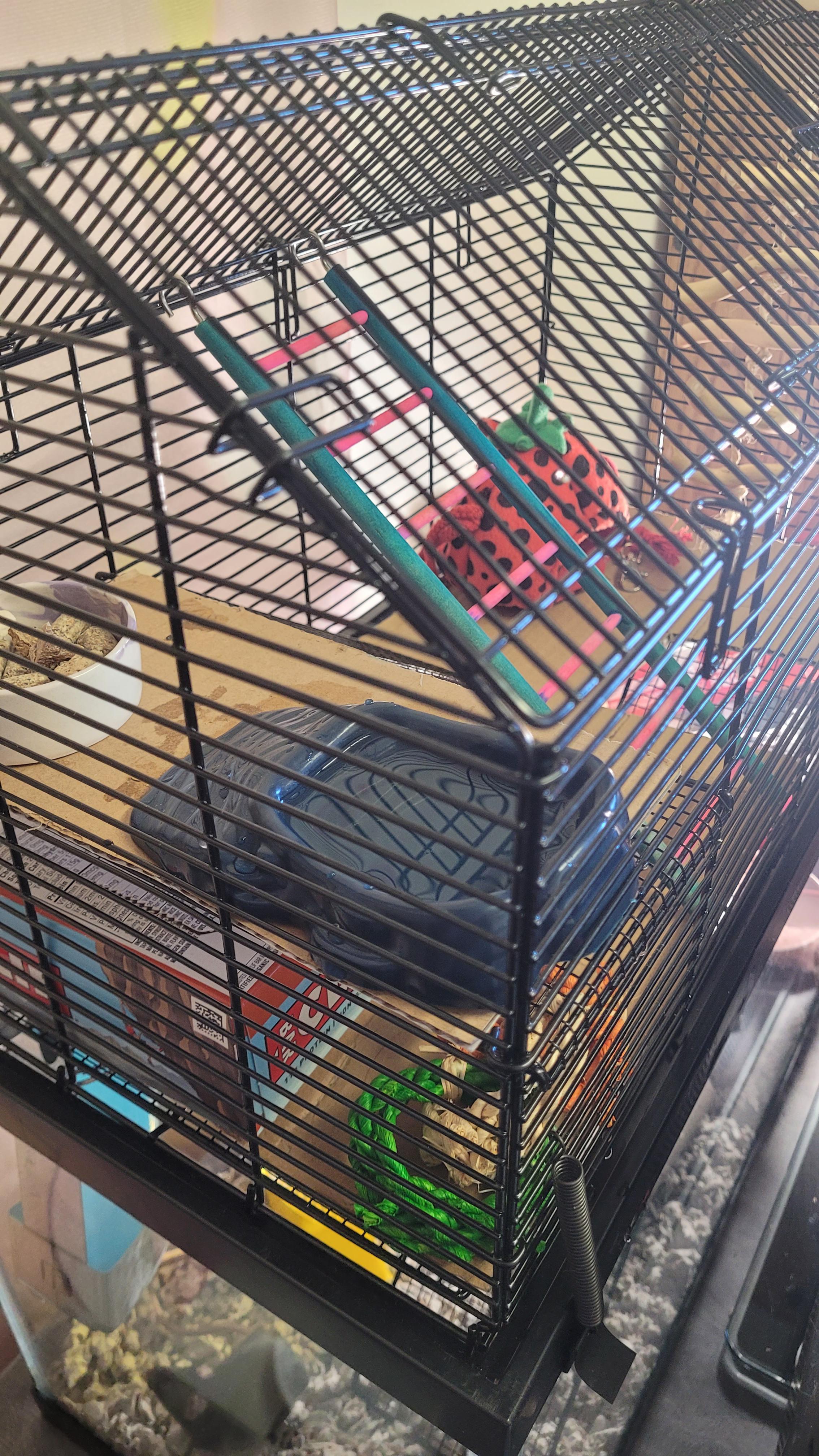 Enclosure Update | Scrolller