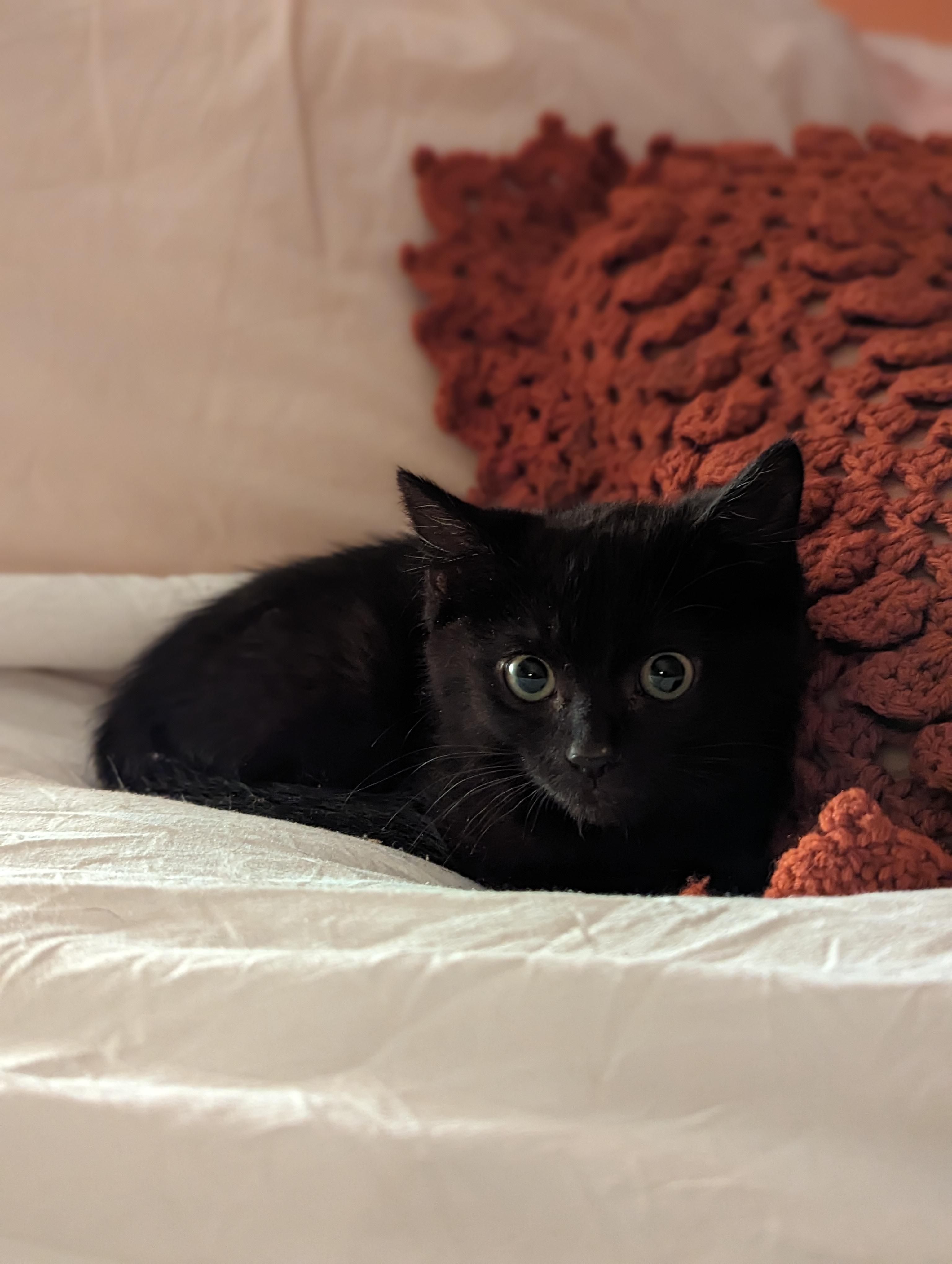 Smol void | Scrolller