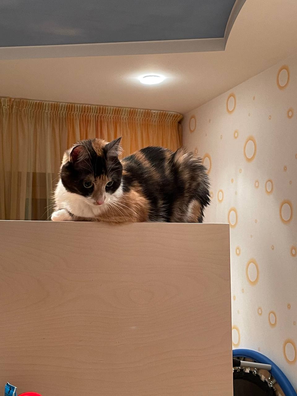 Highly loafly | Scrolller