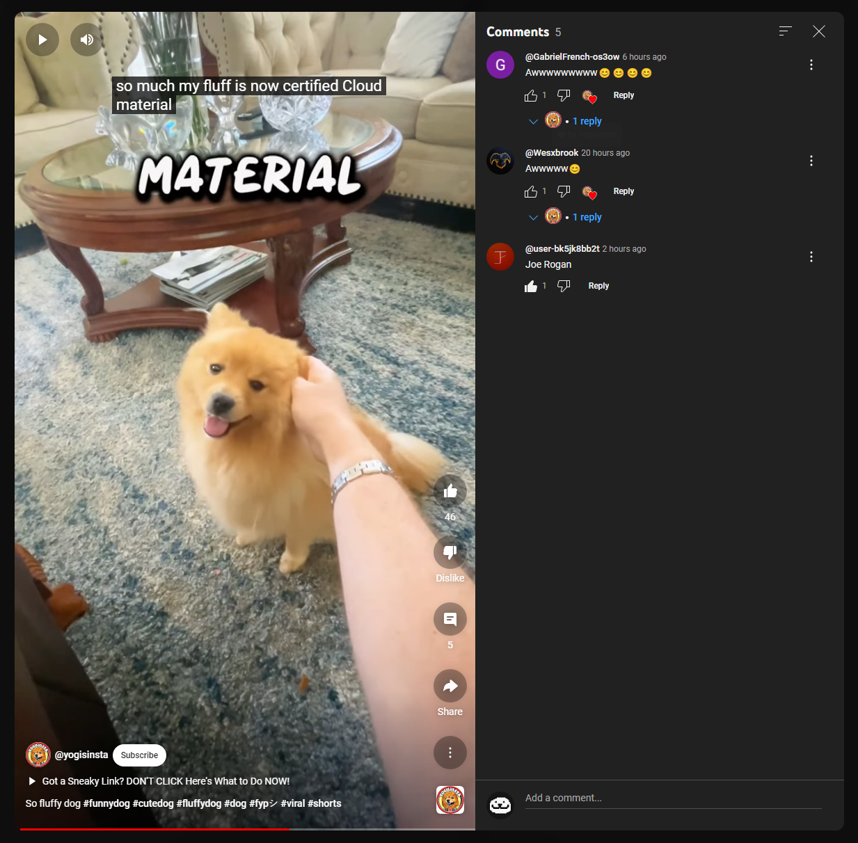 Joe Rogan | Scrolller