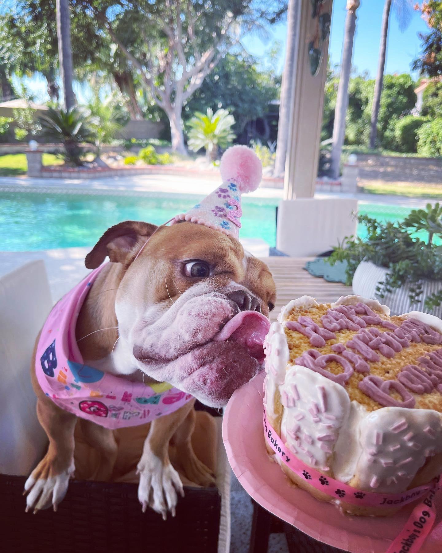 Today we finally had Banana’s Bday party! | Scrolller